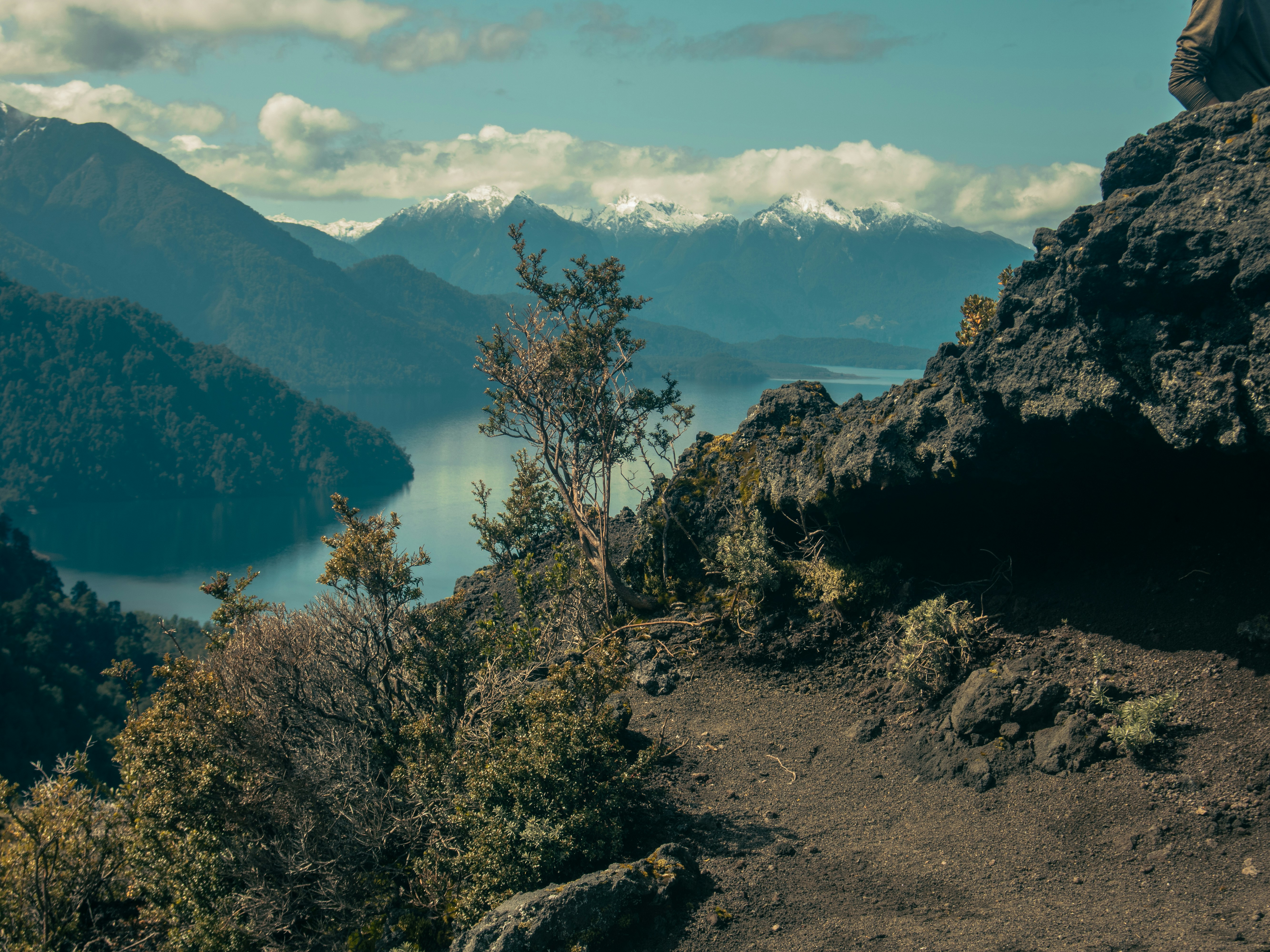 Whispers of the Wilderness: A Serene Overlook