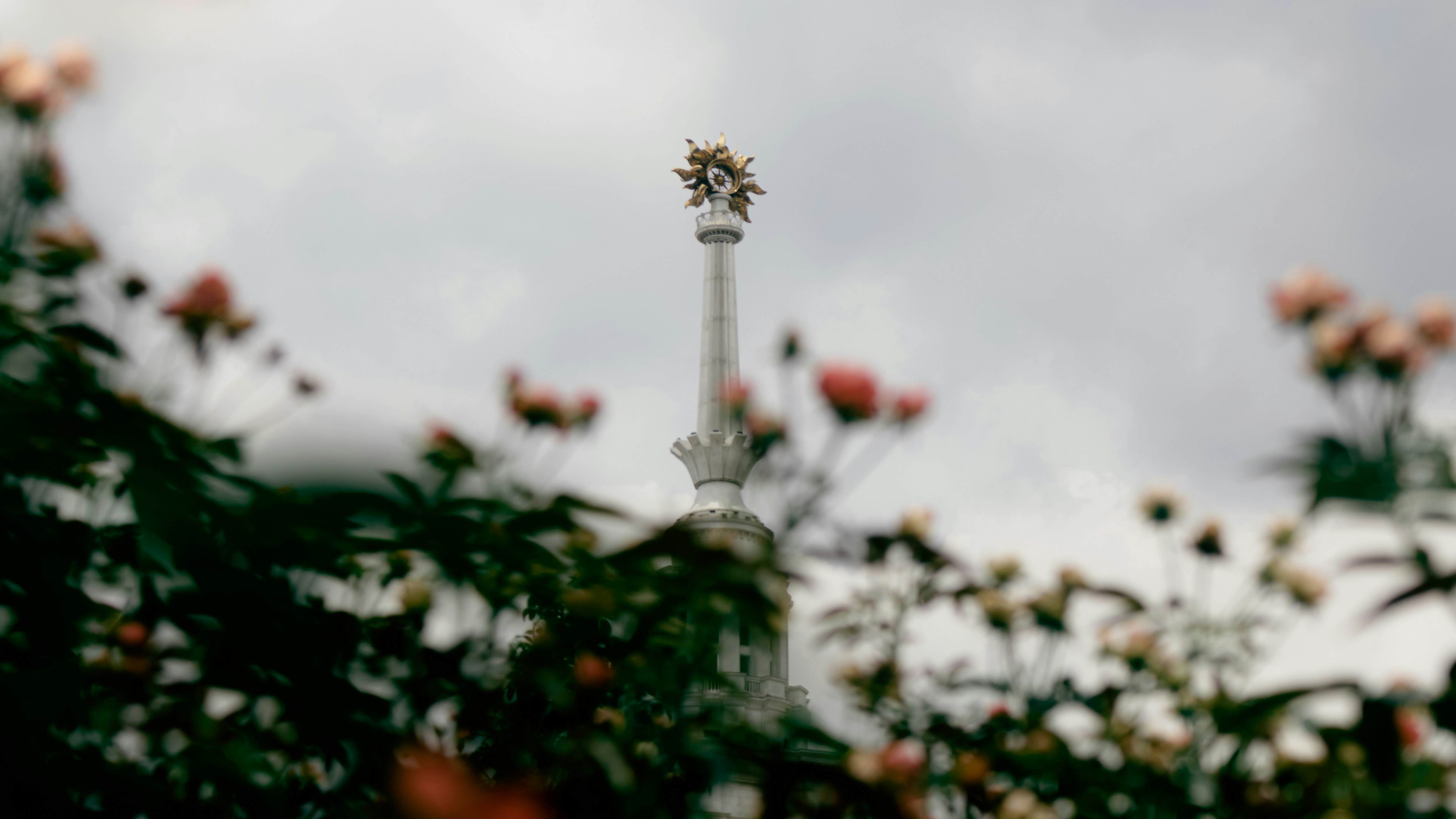 Floral Framing of a Celestial Crown