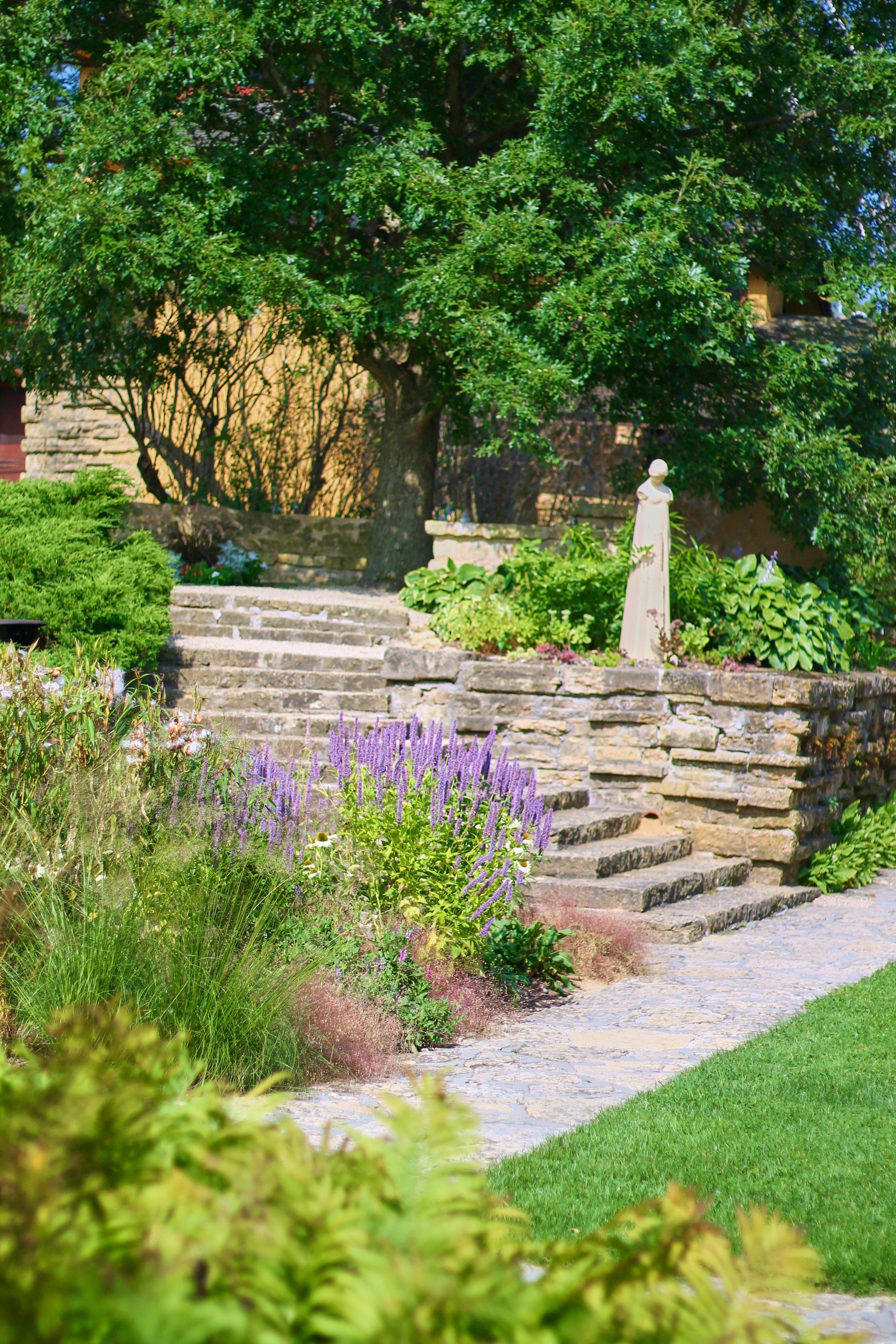 A garden in bloom with stone staircase | Stone steps ascend through a lush garden with purple flowers.