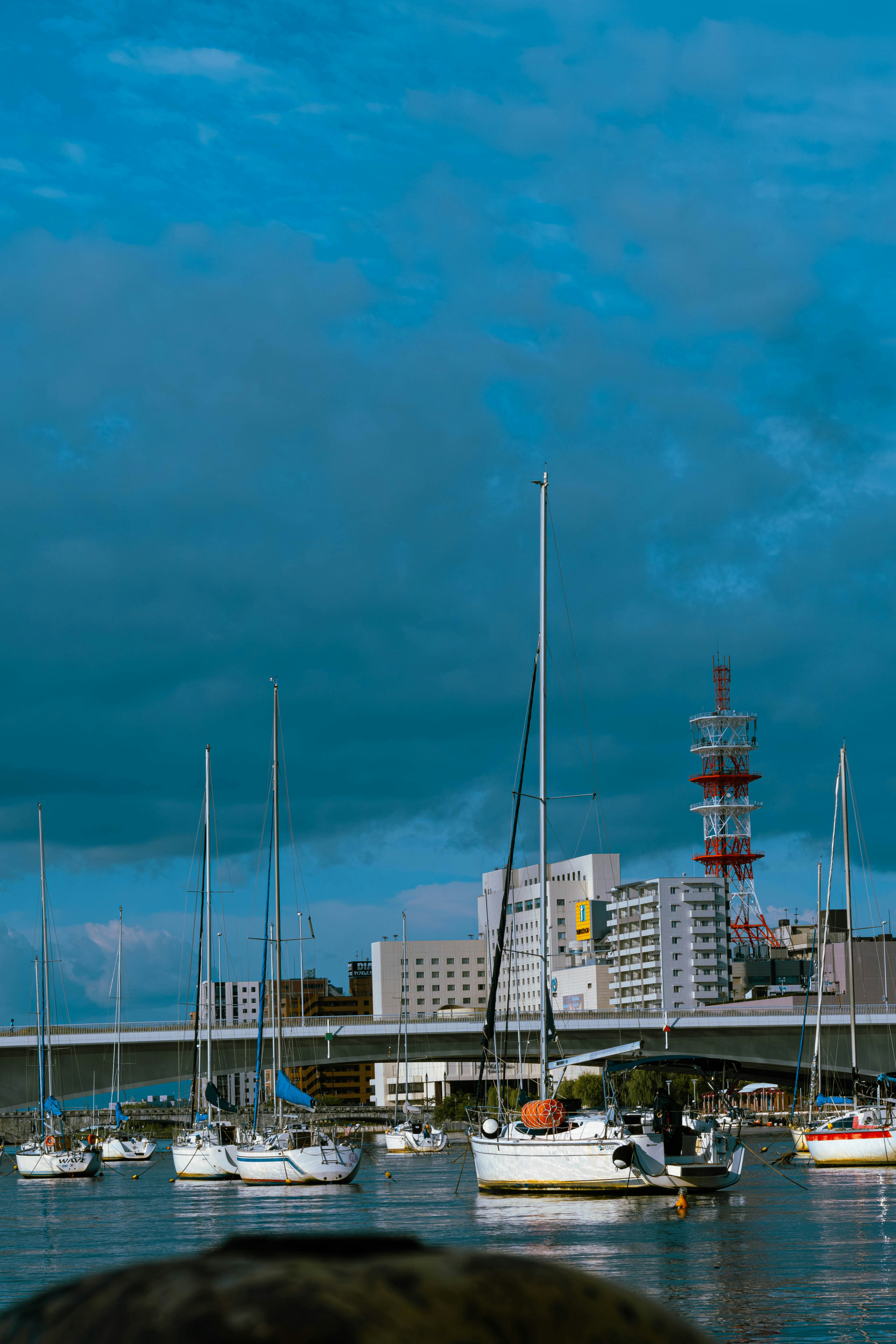 Harbor Serenity: A Dance of Masts and Waves