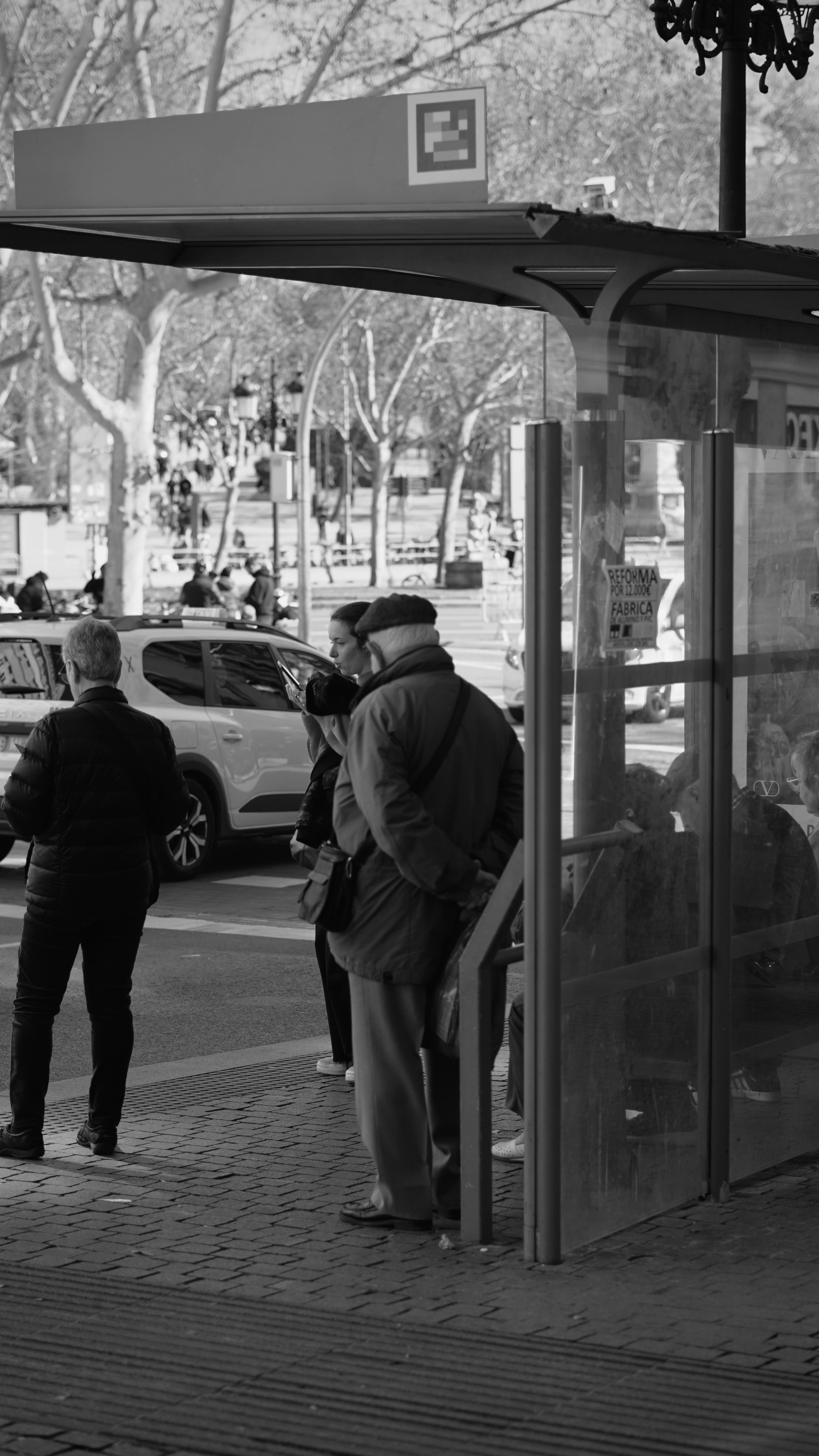Urban Interlude: A Moment at the Bus Stop