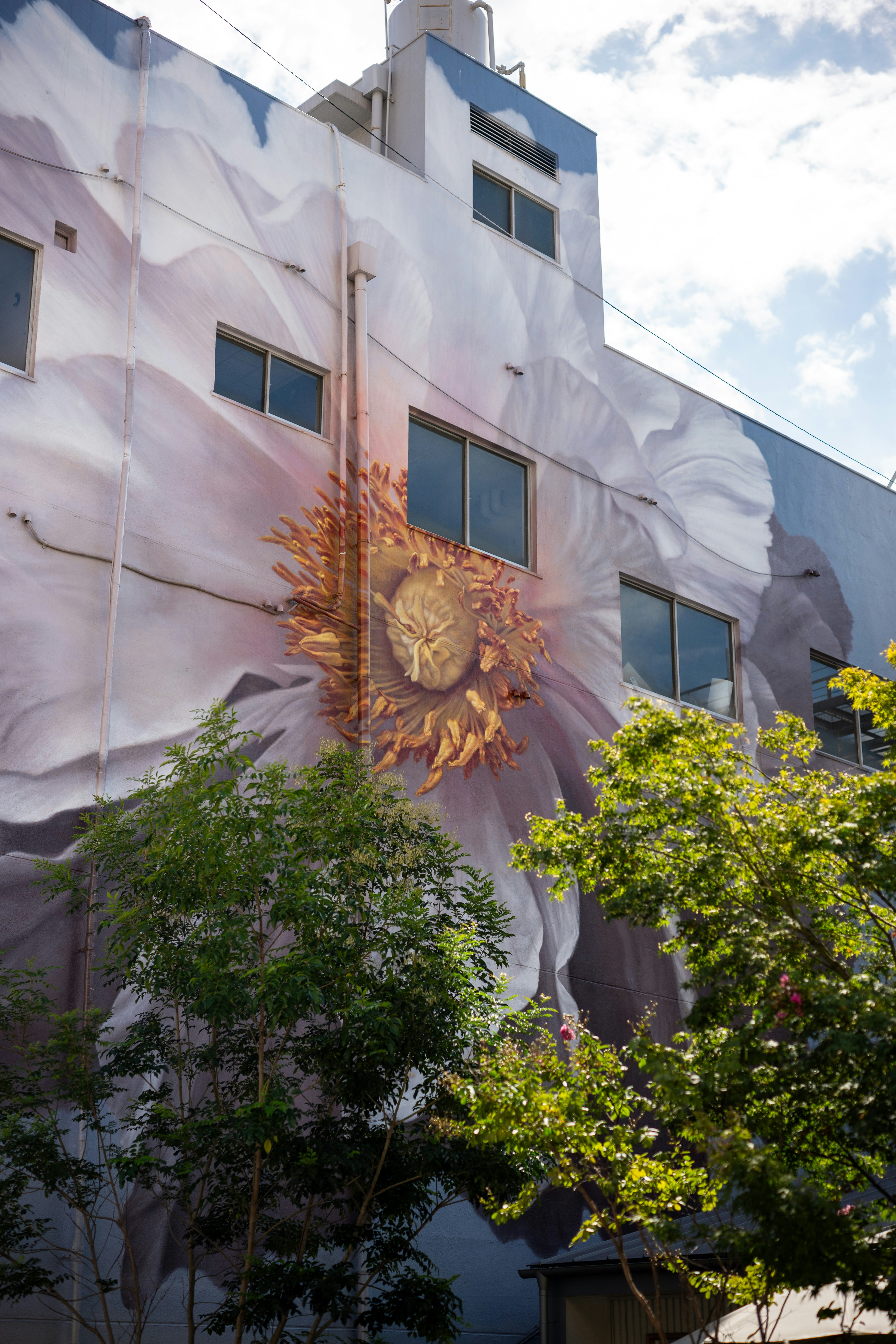Large floral mural painted on building exterior