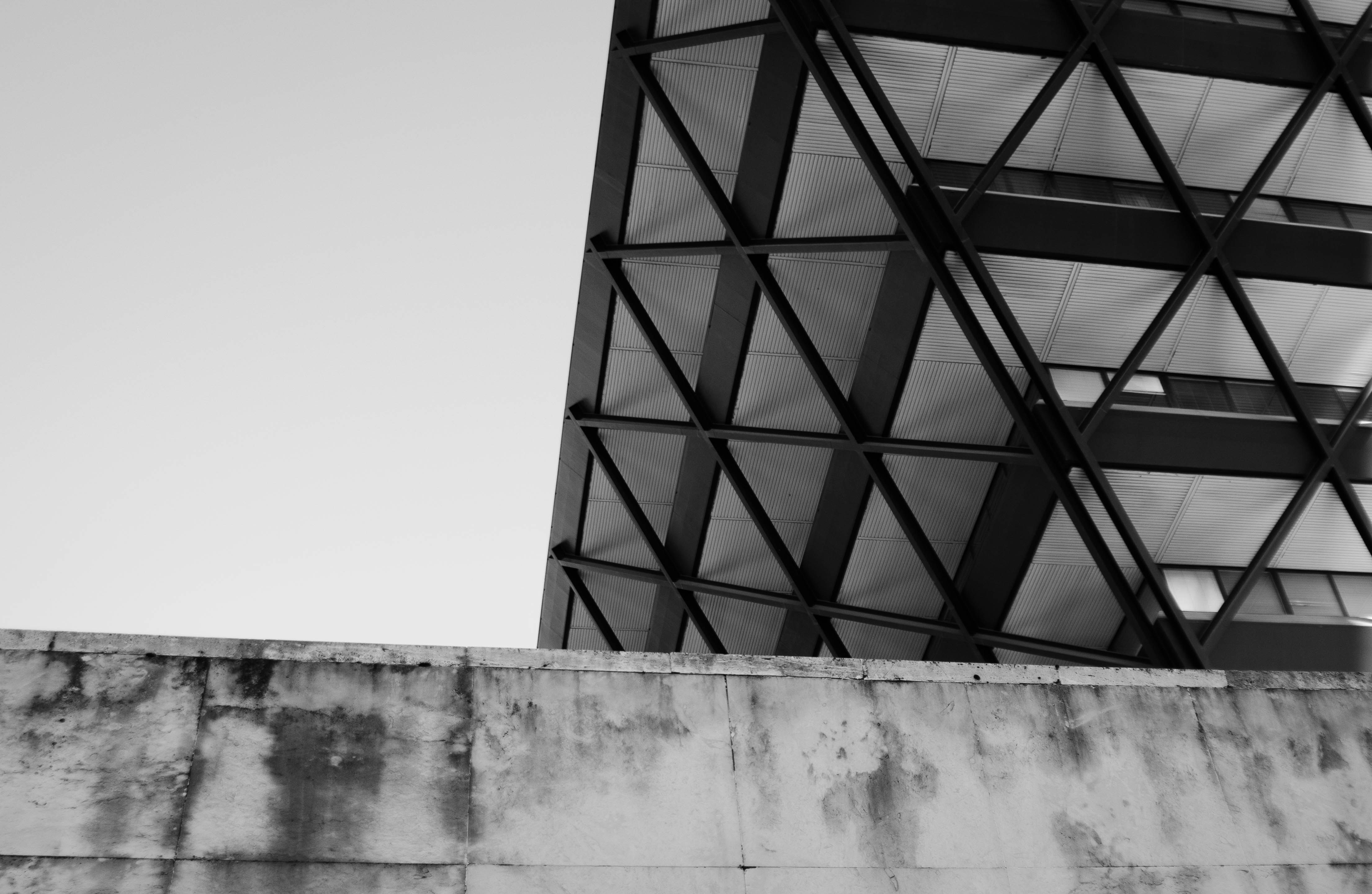 Geometric Harmony: A Modern Architectural Perspective