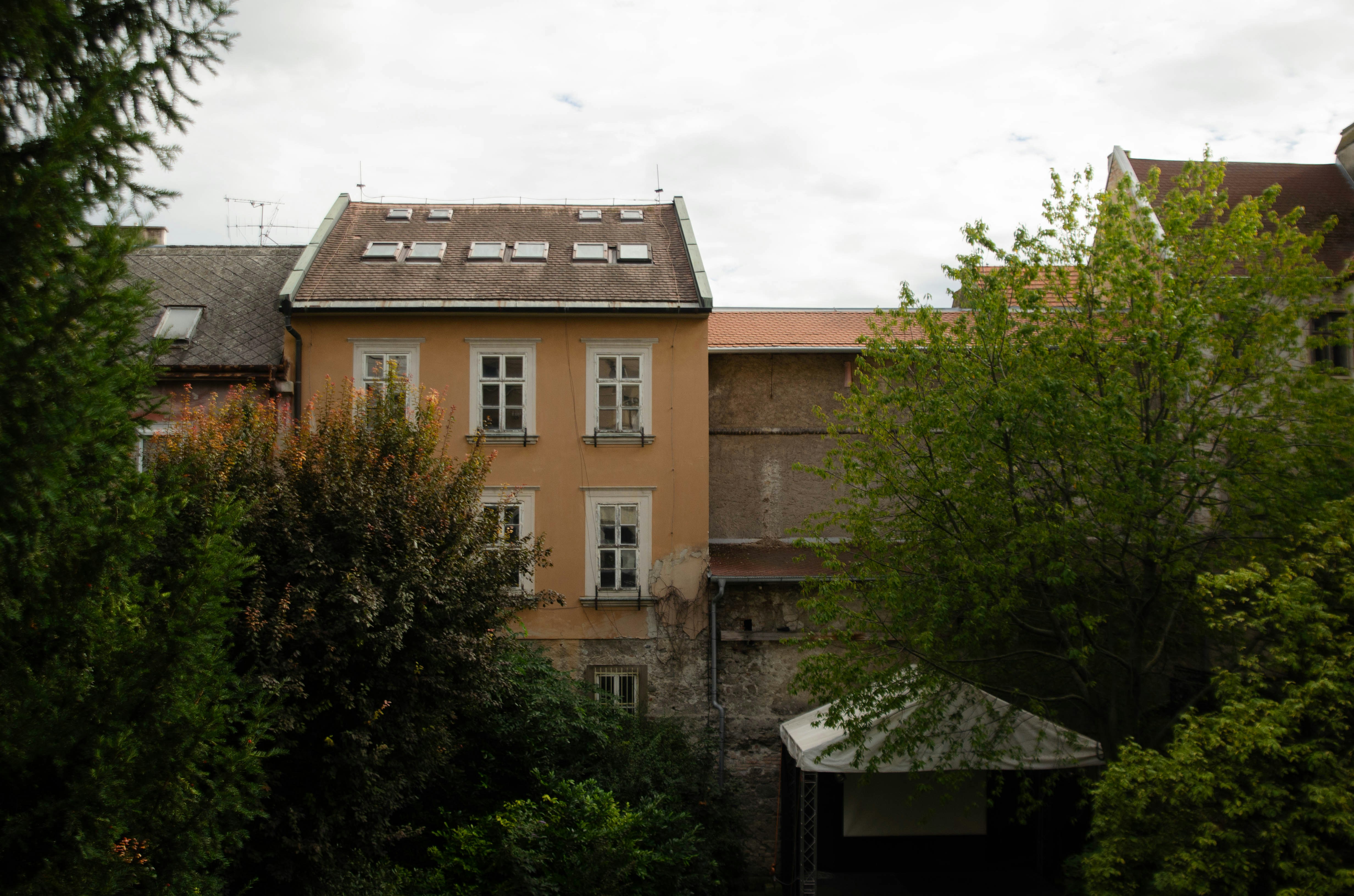 Urban Oasis: A Glimpse into Tranquil Living