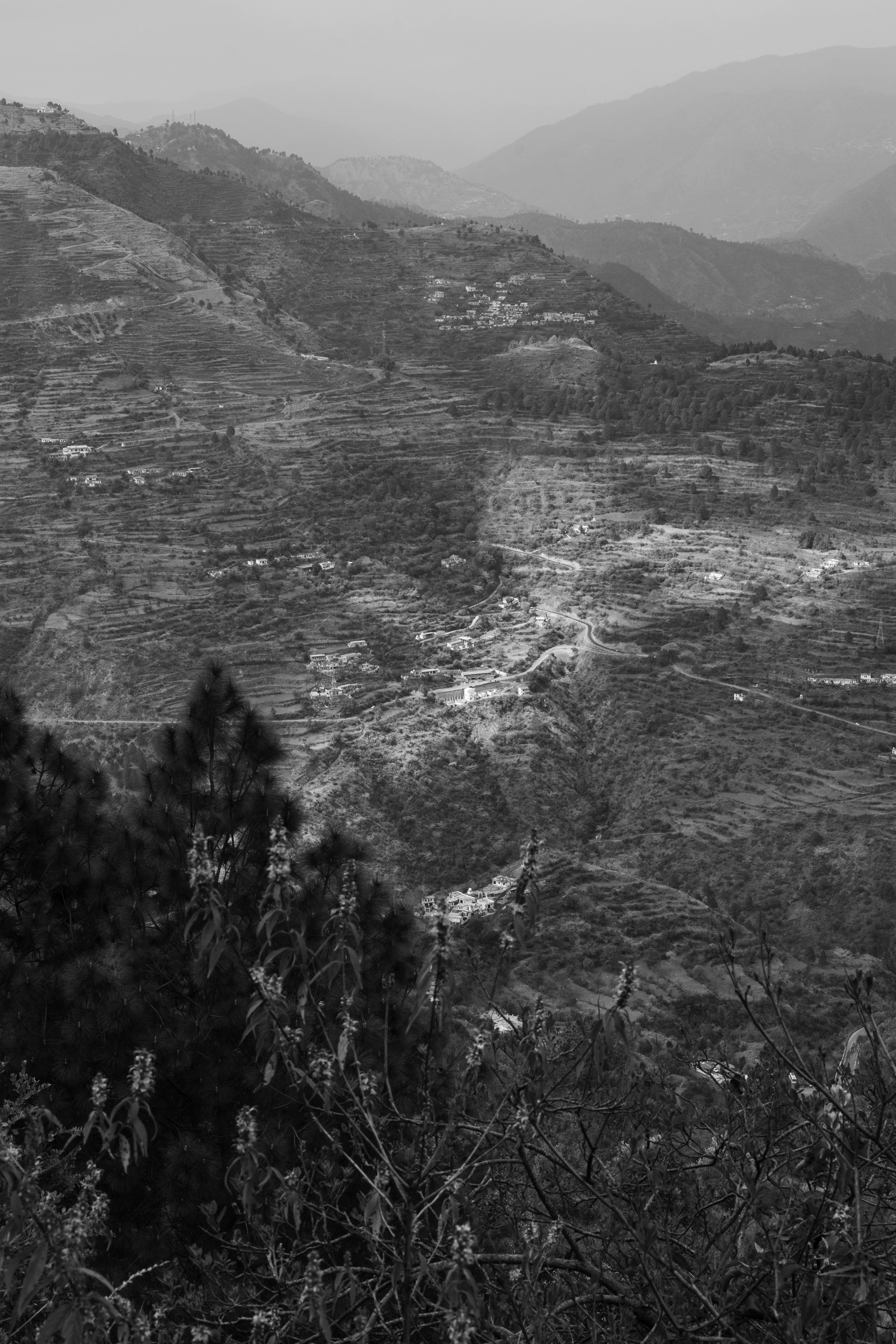 Whispers of the Hills: A Serene Landscape in Monochrome