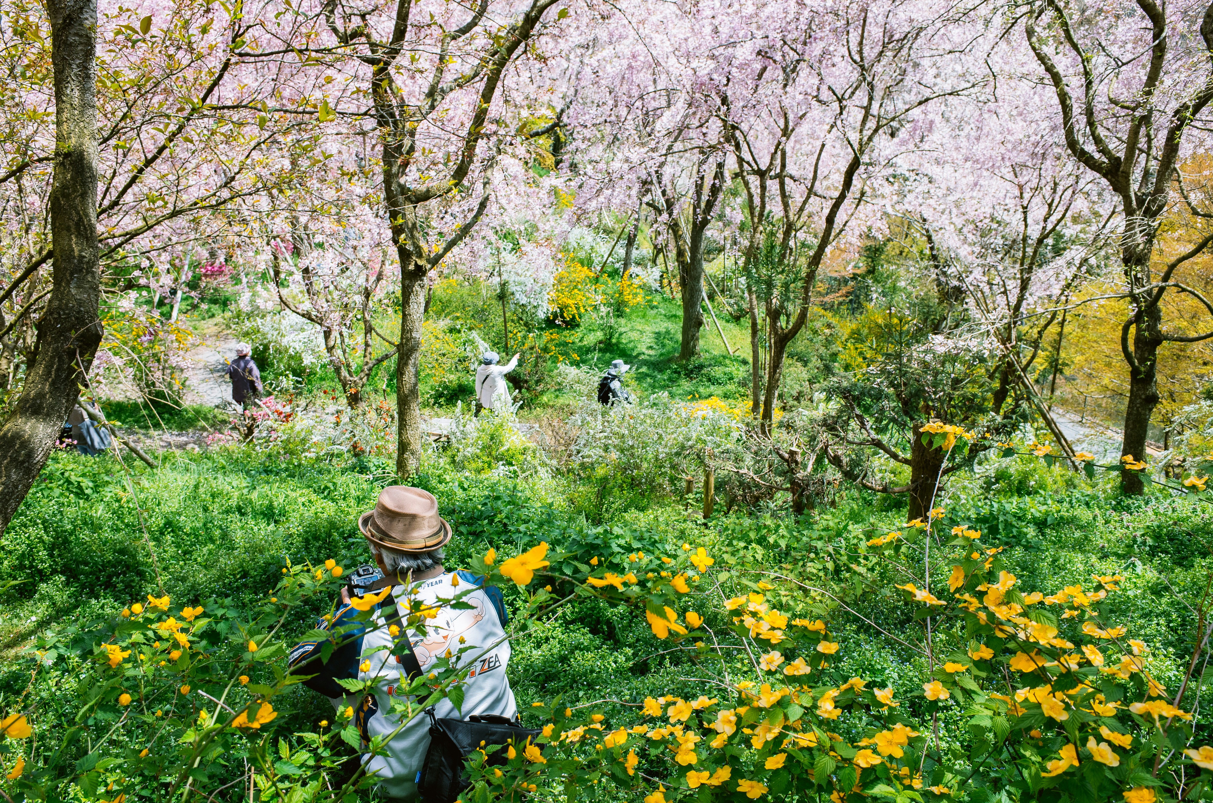 A Hat and Hands in a Spring Garden: Quiet Color in Bloom