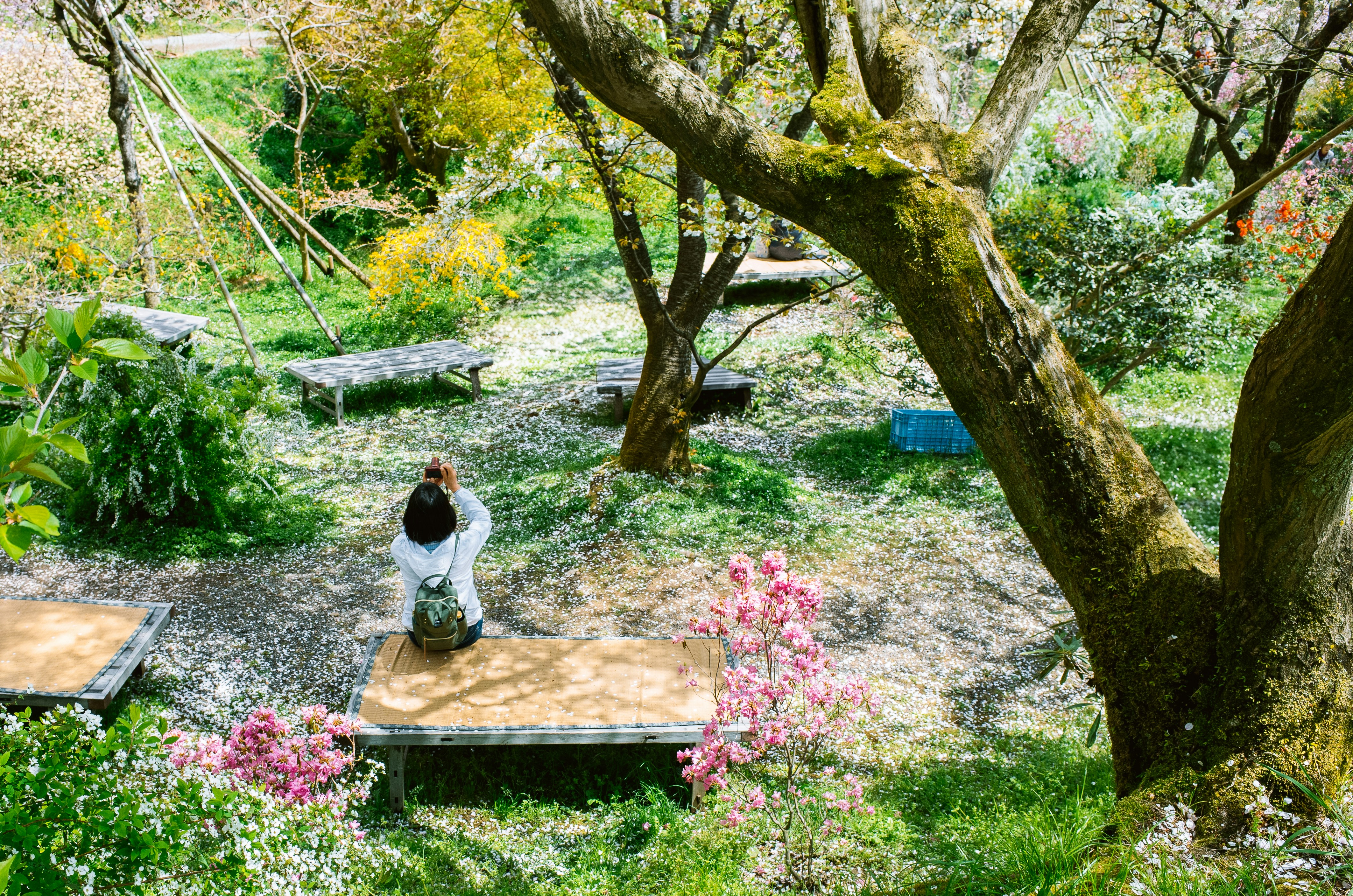 Photo by PJH with Ricoh GR II