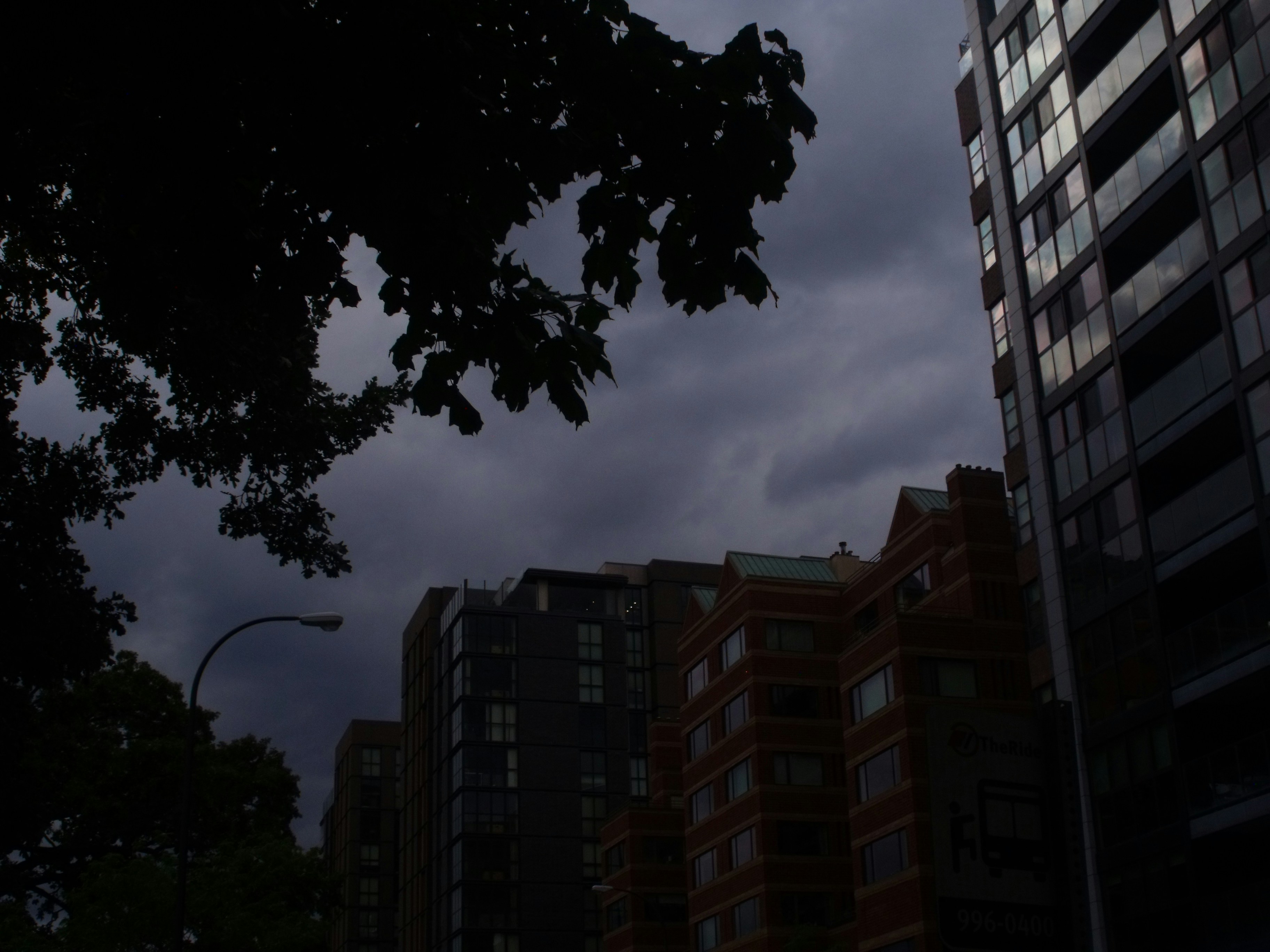 Silhouetted buildings against a brooding sky, with dark foliage framing the scene. The interplay of light and shadow creates a dramatic urban atmosphere.
