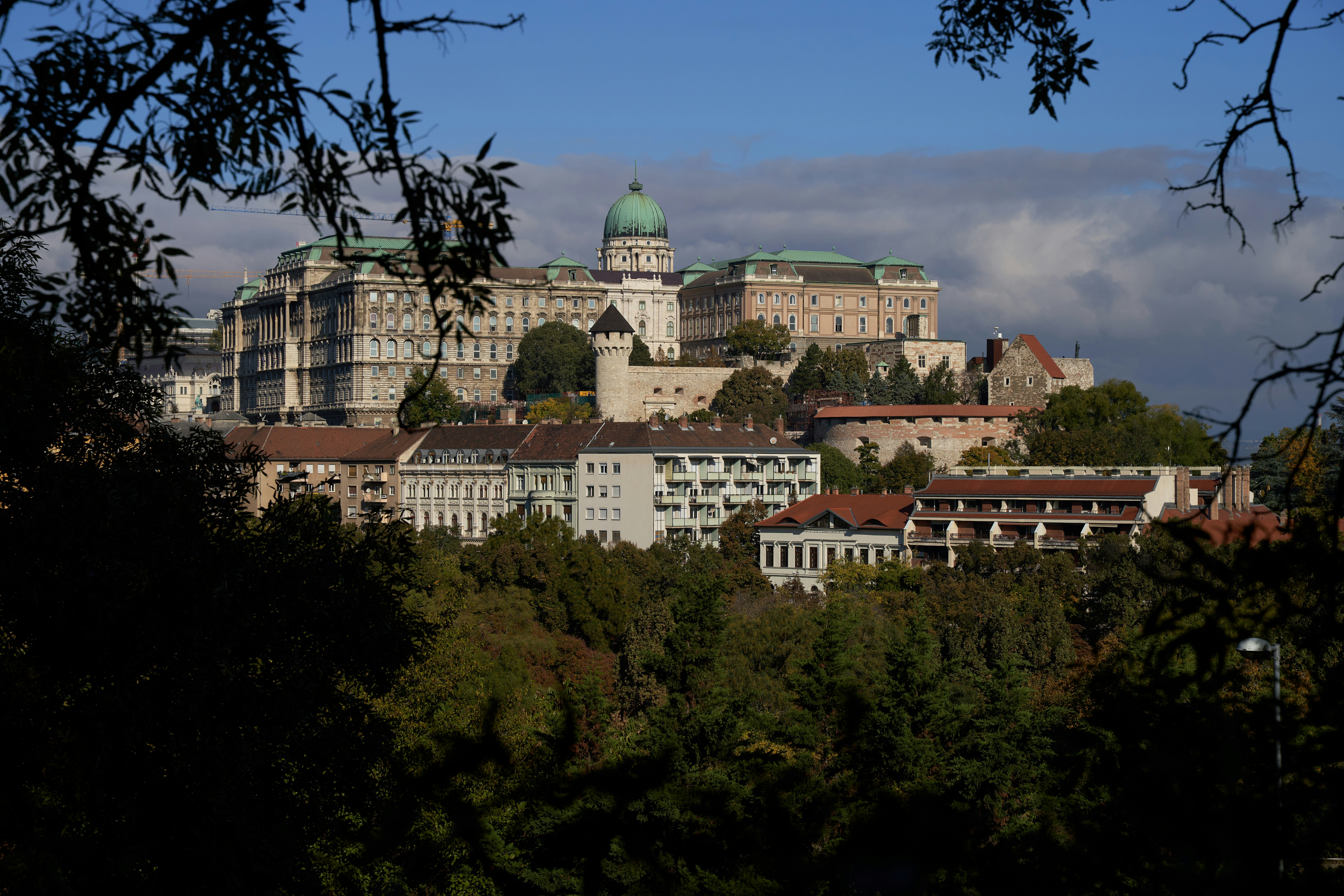 Buda Castle photographed from the autumn trees of Gellért Hill | Castle complex on a hill with trees in foreground.