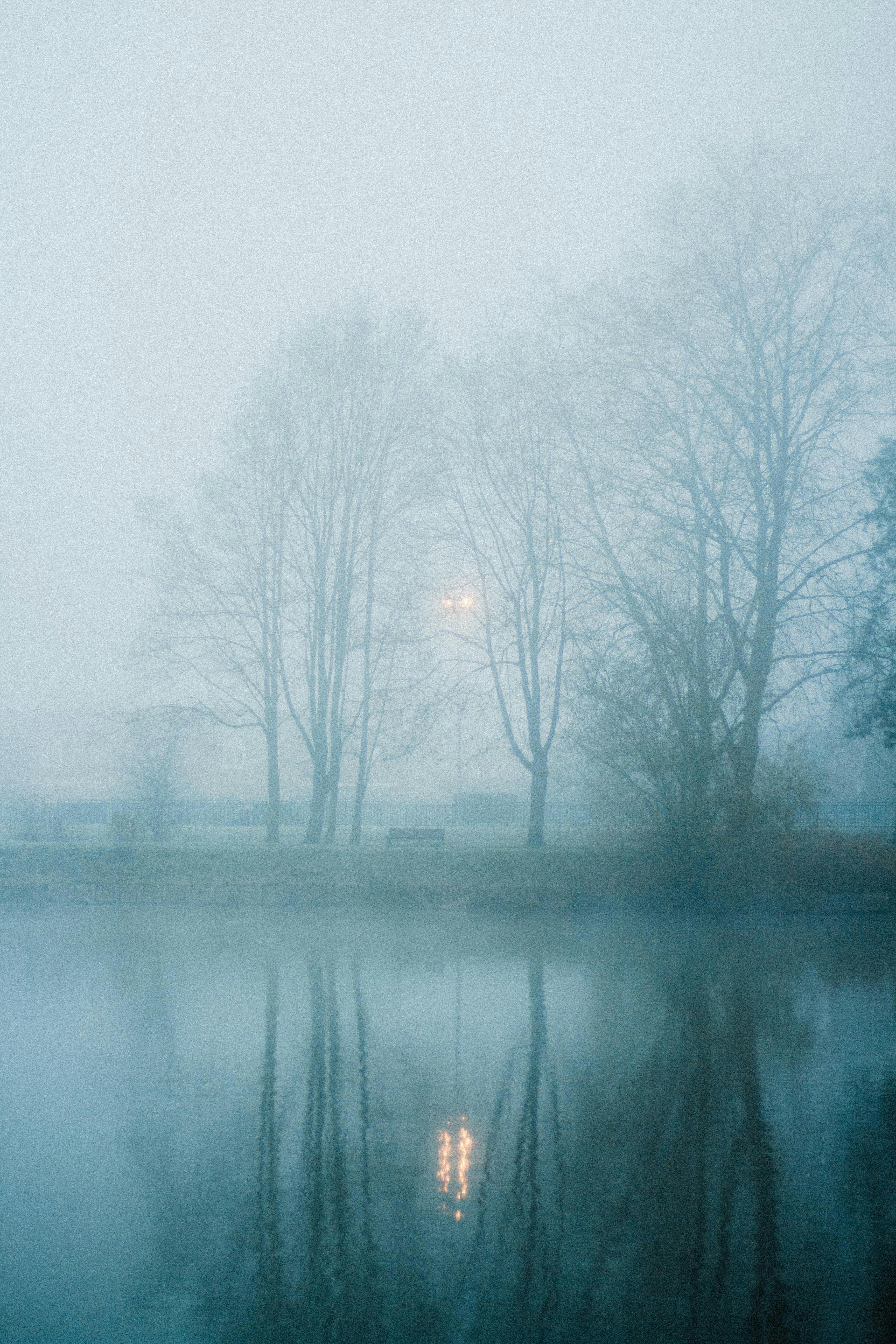 Whispers of the Misty Morning