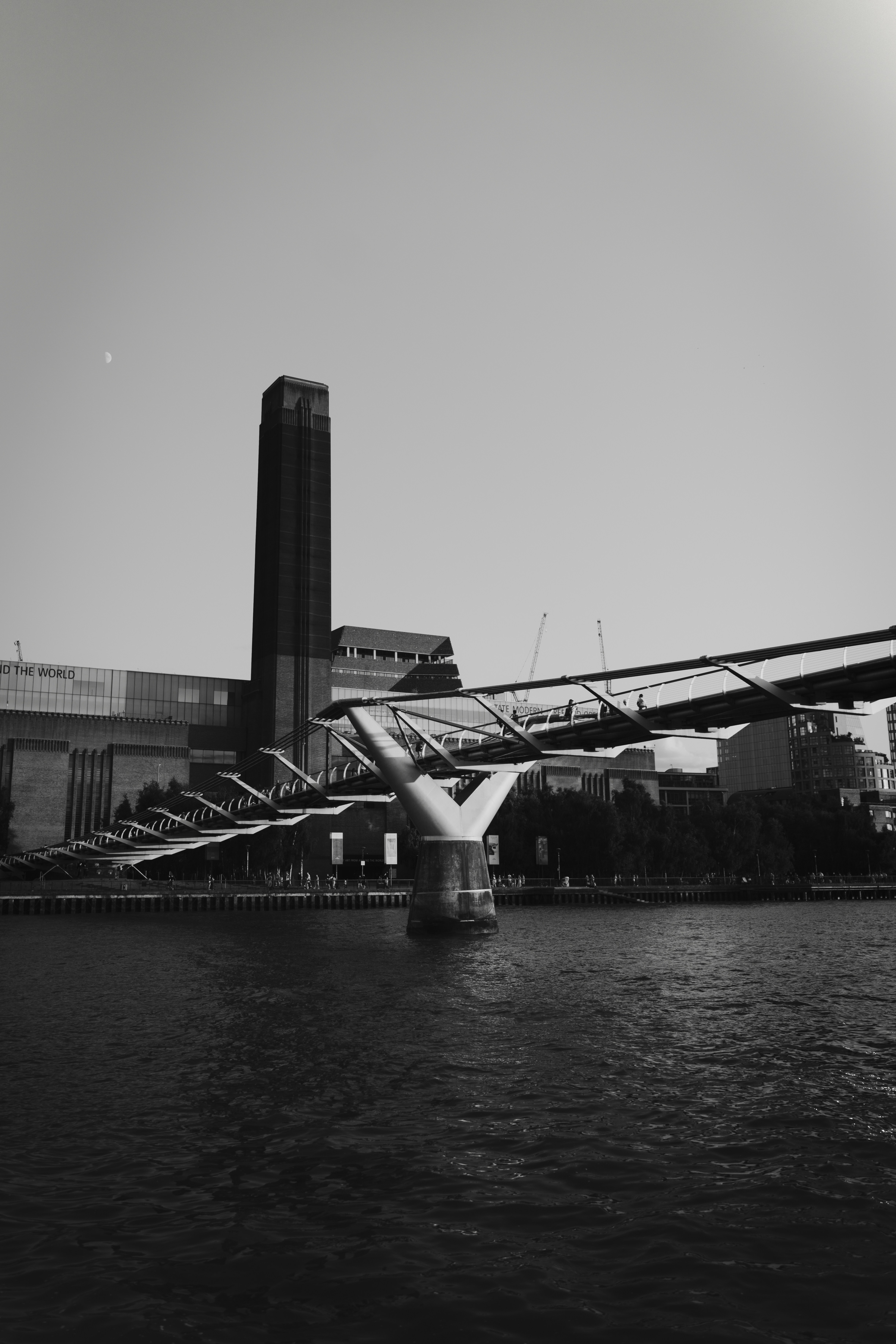 Abstract black-and-white view of a modern bridge juxtaposed against a towering structure, reflecting the harmony between urban design and natural elements.