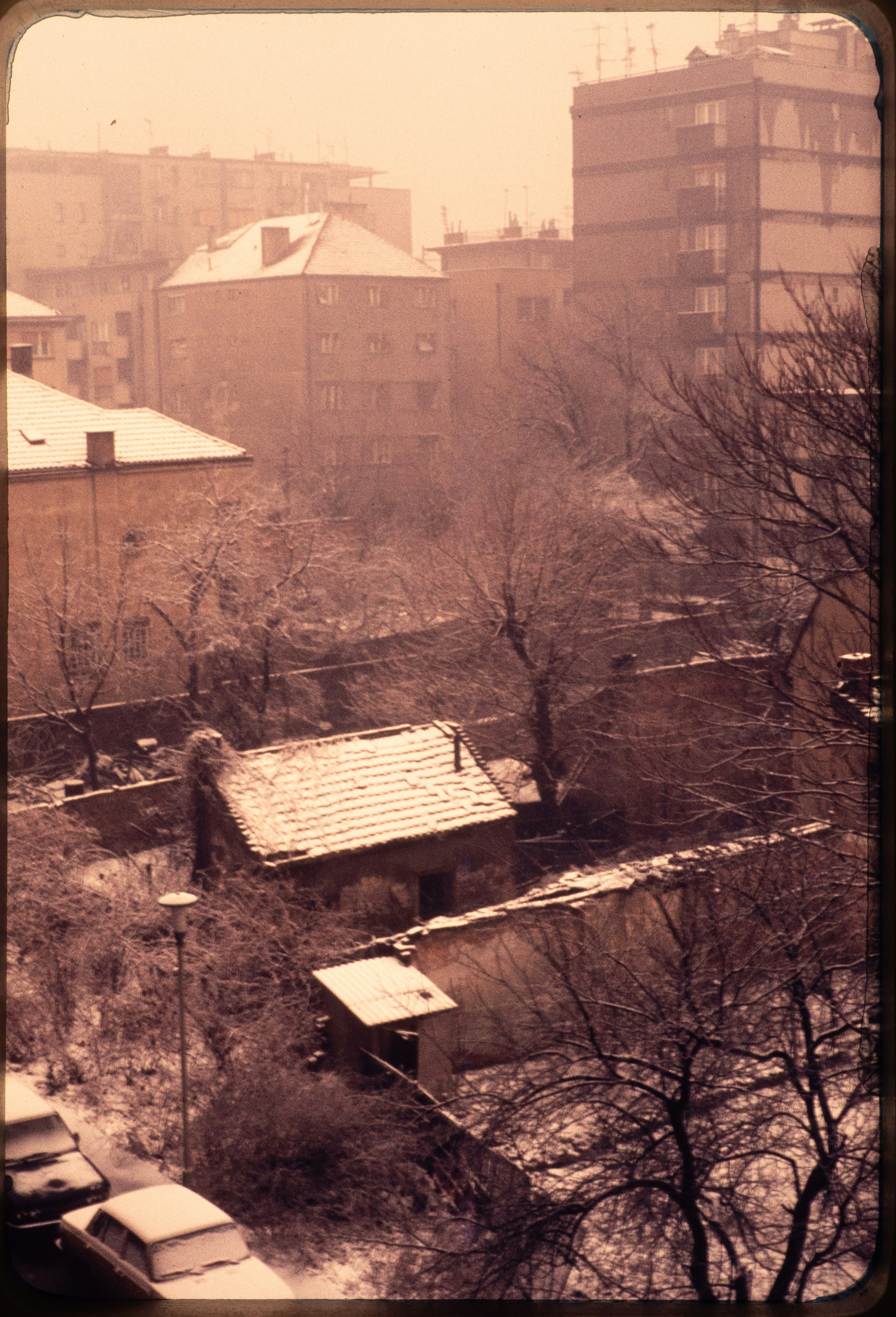 Whispers of Winter: Urban Solitude