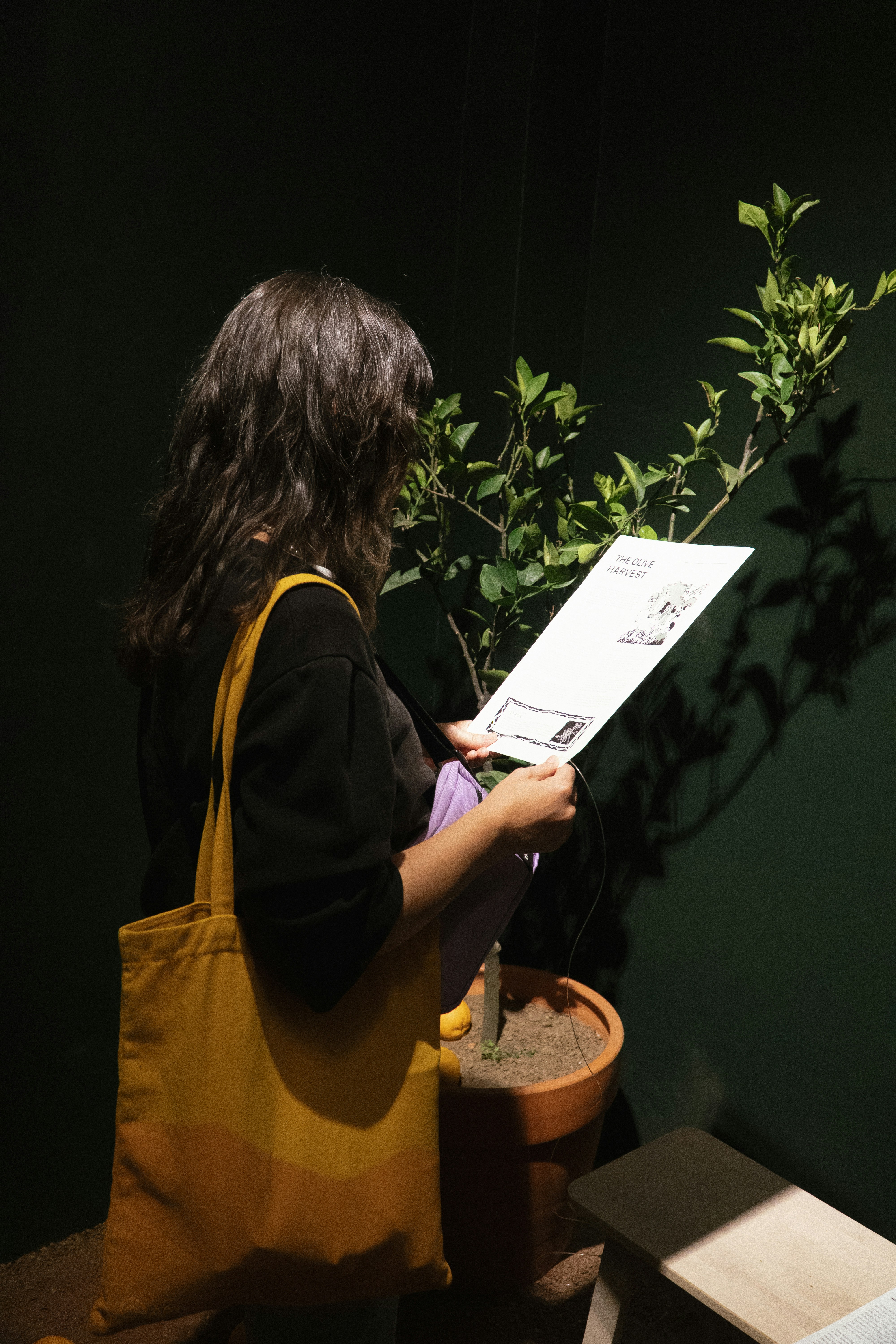 Engaged in the Green: A Moment of Discovery