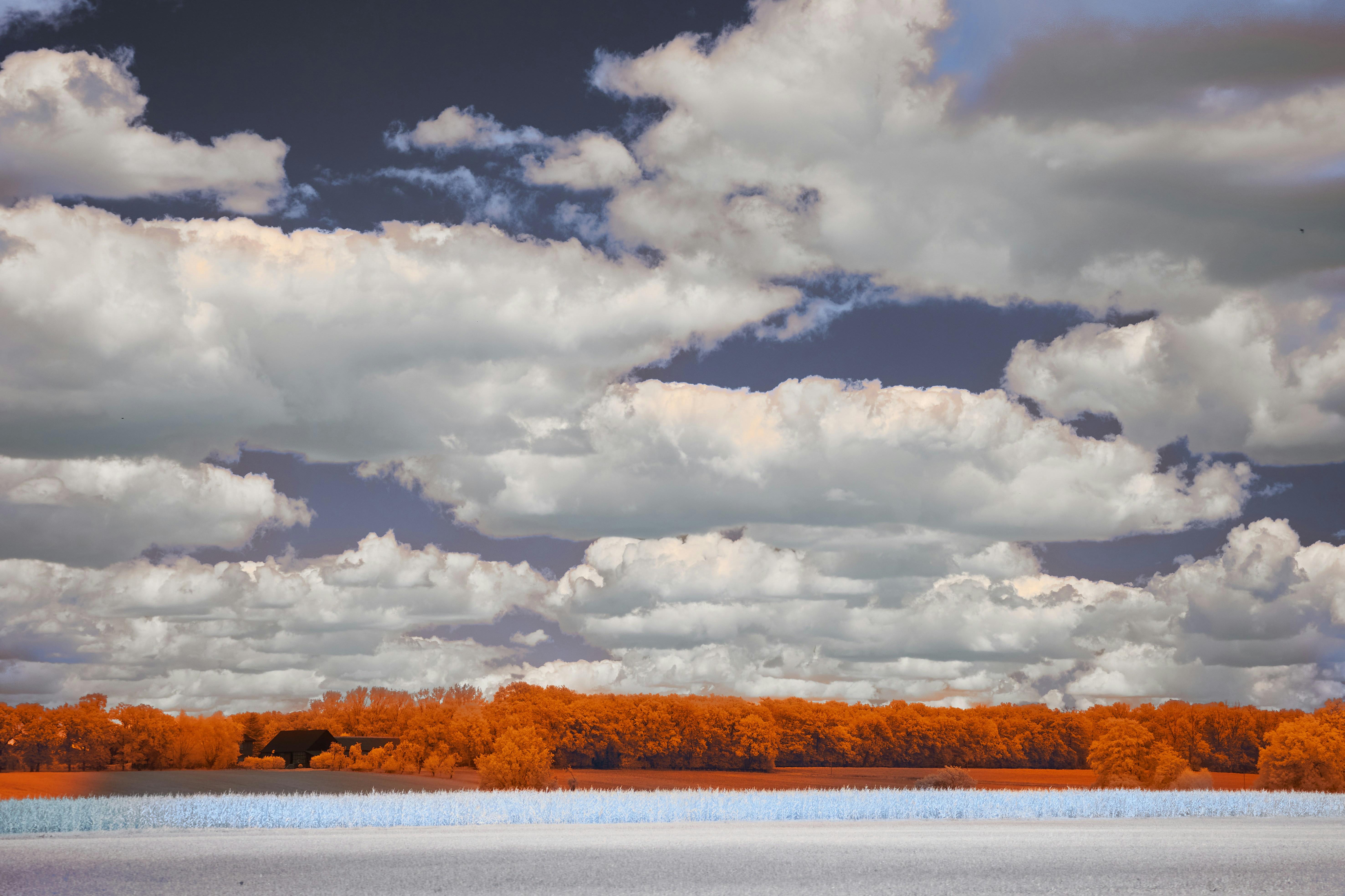 Whispers of Autumn in a Dreamy Landscape