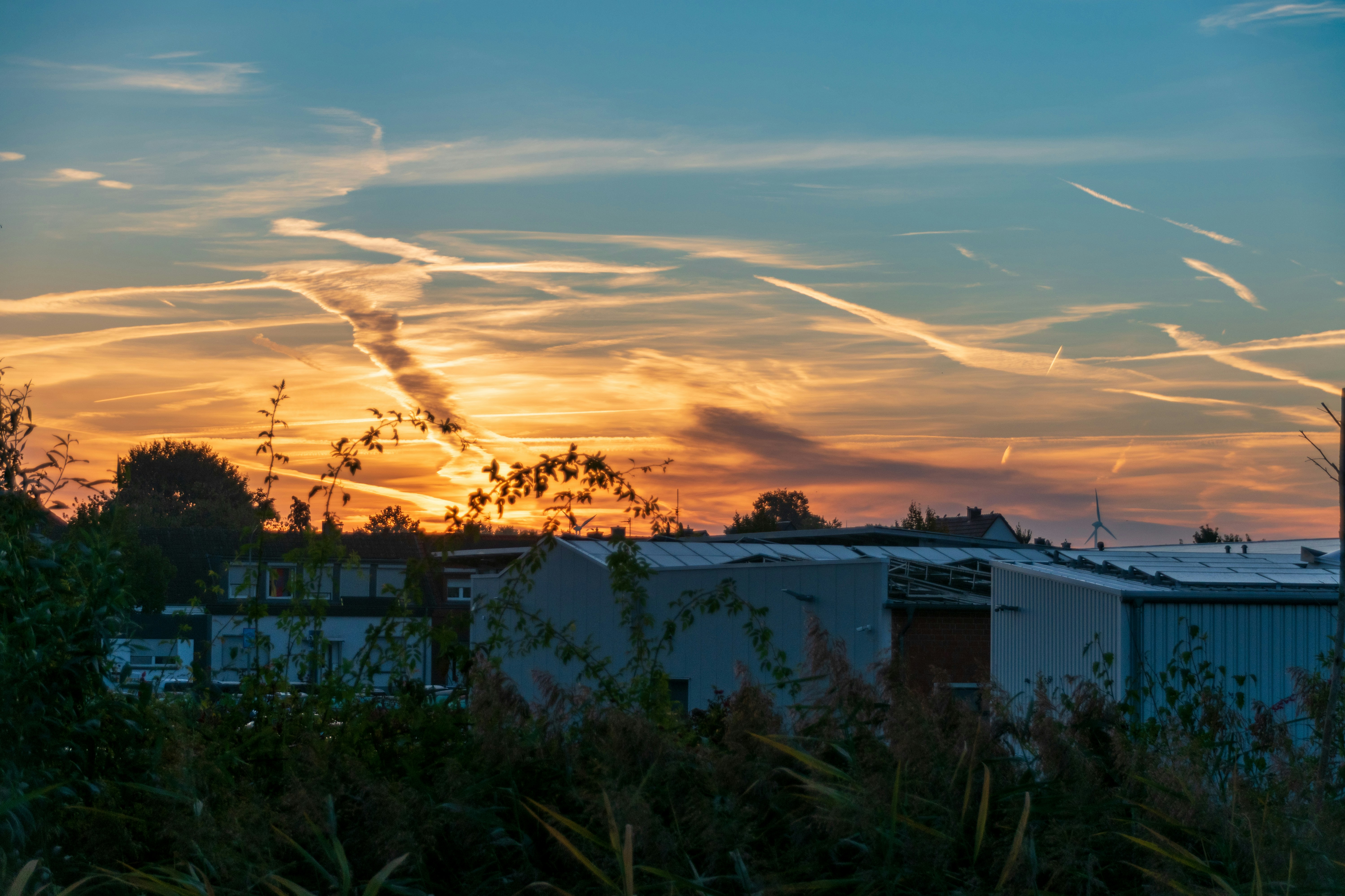 Whispers of the Evening Sky