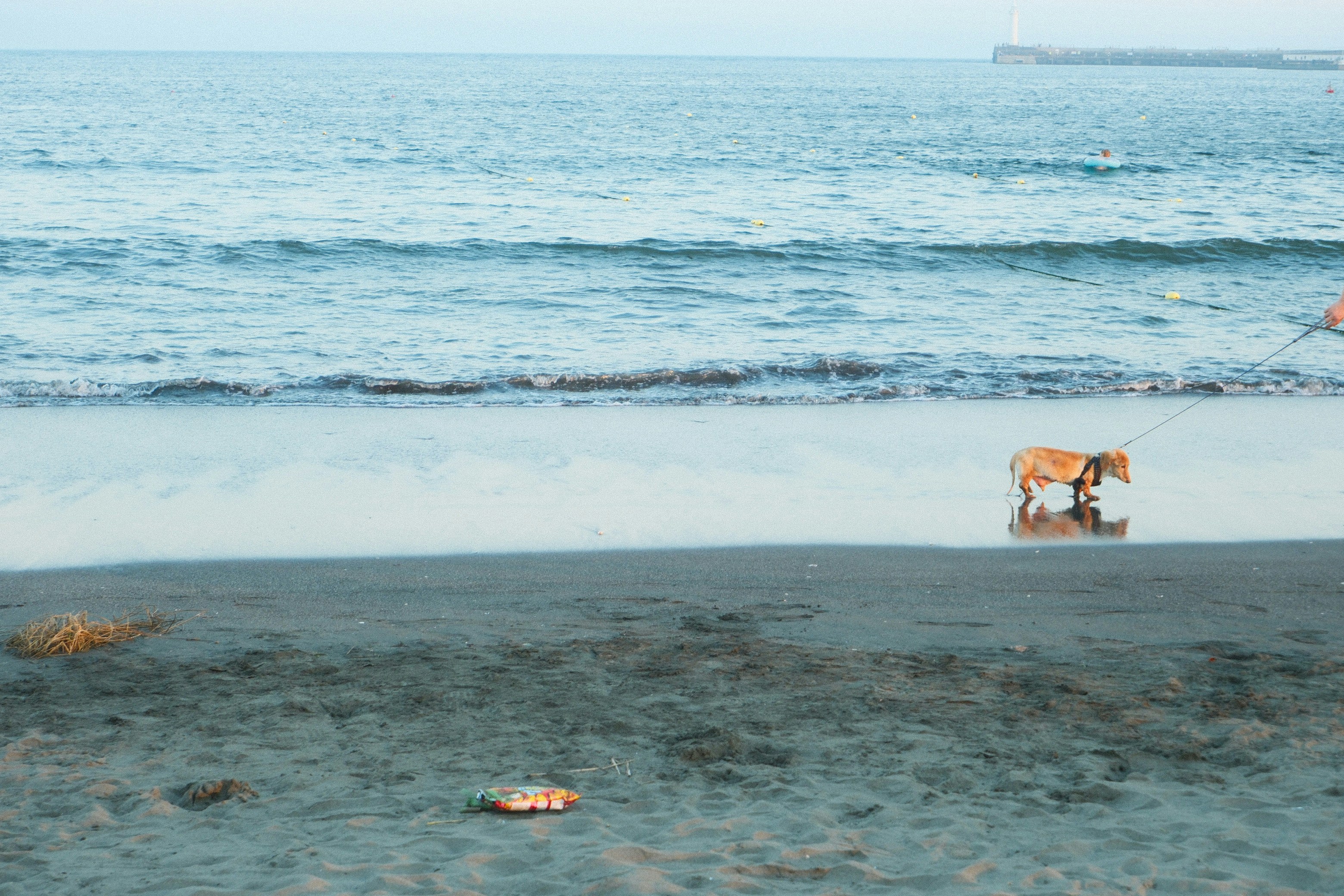 Sample photo from Fujifilm X-M5