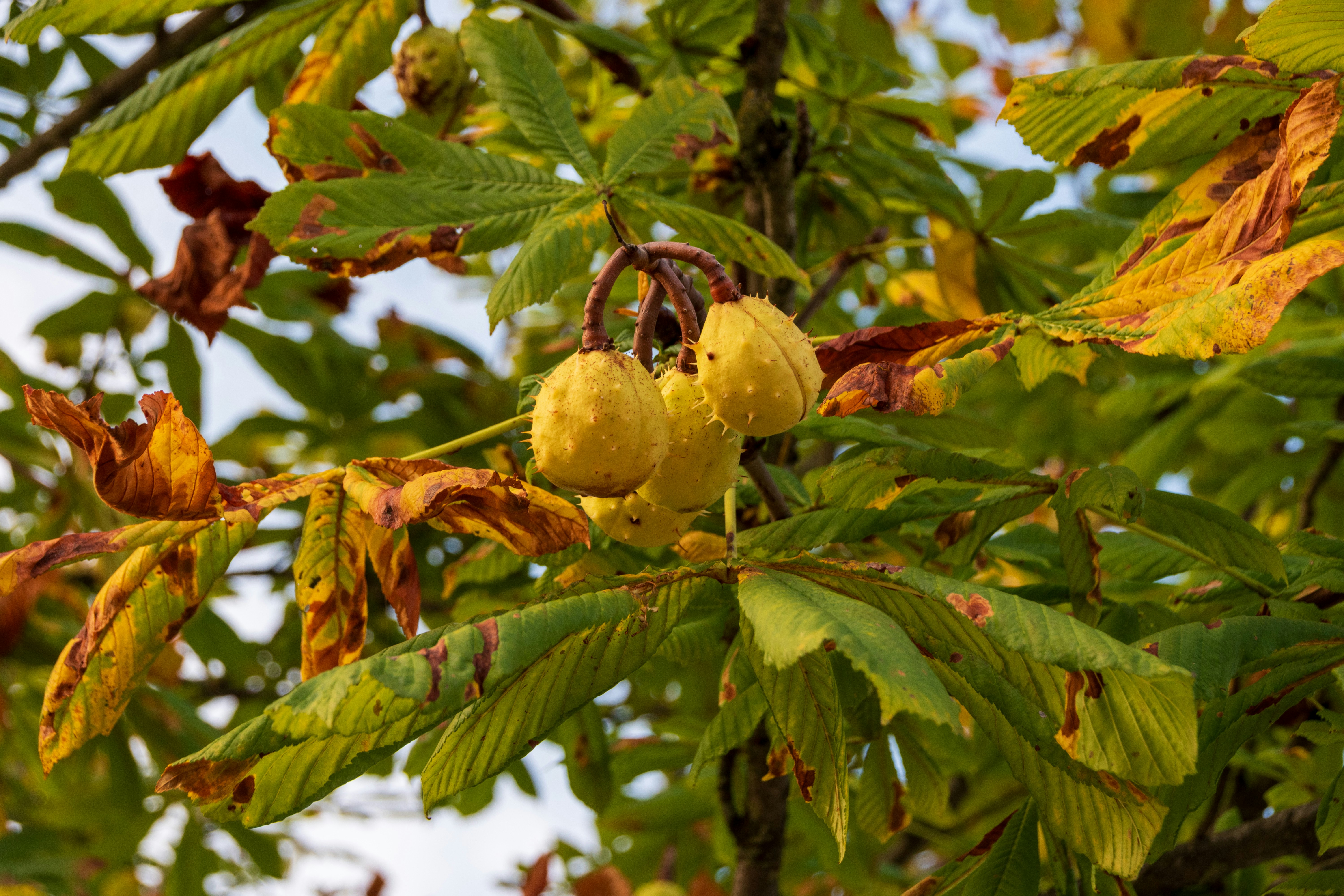 Photo by Sergej Karpow with Nikon D5500