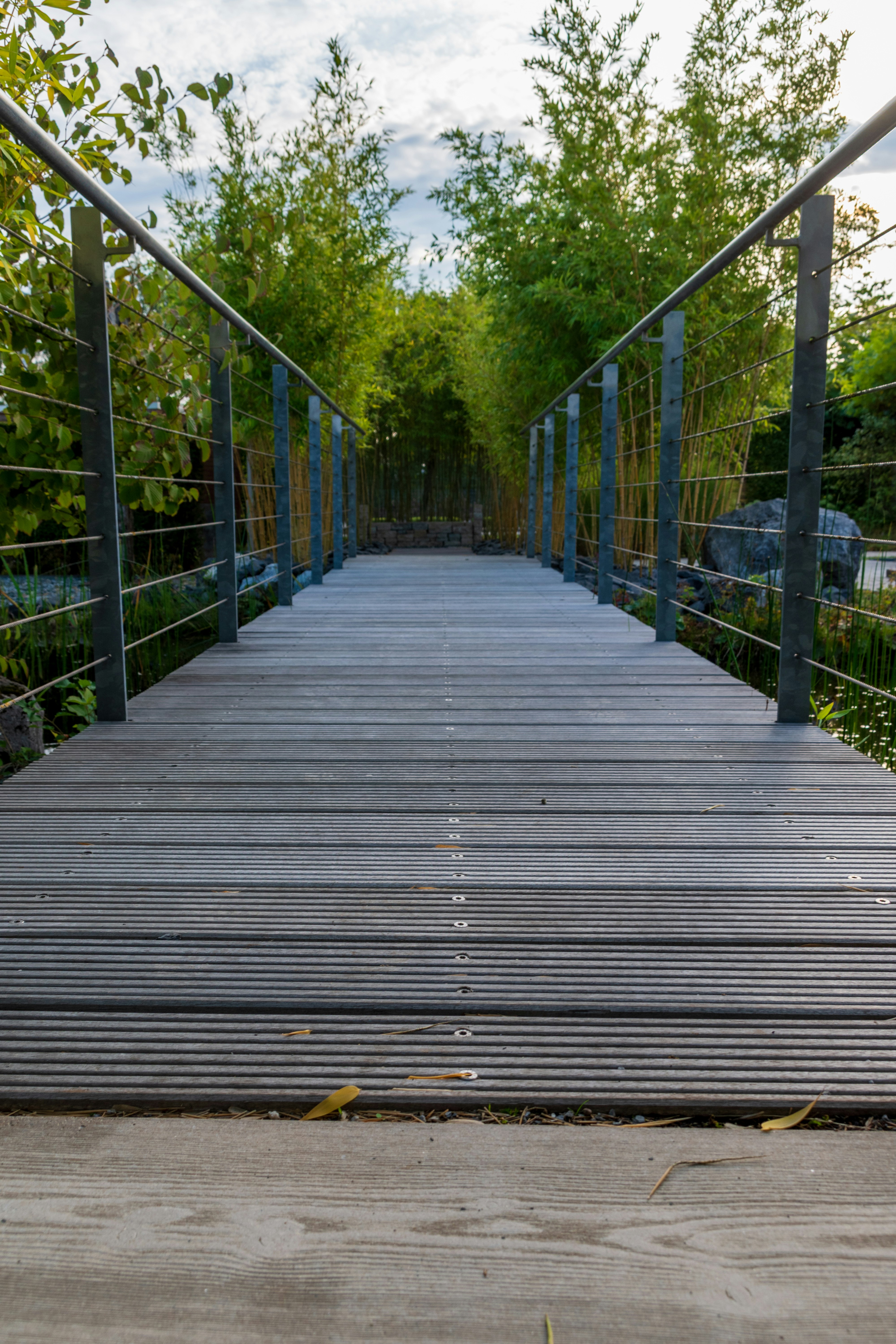 Wooden bridge leading through bamboo grove