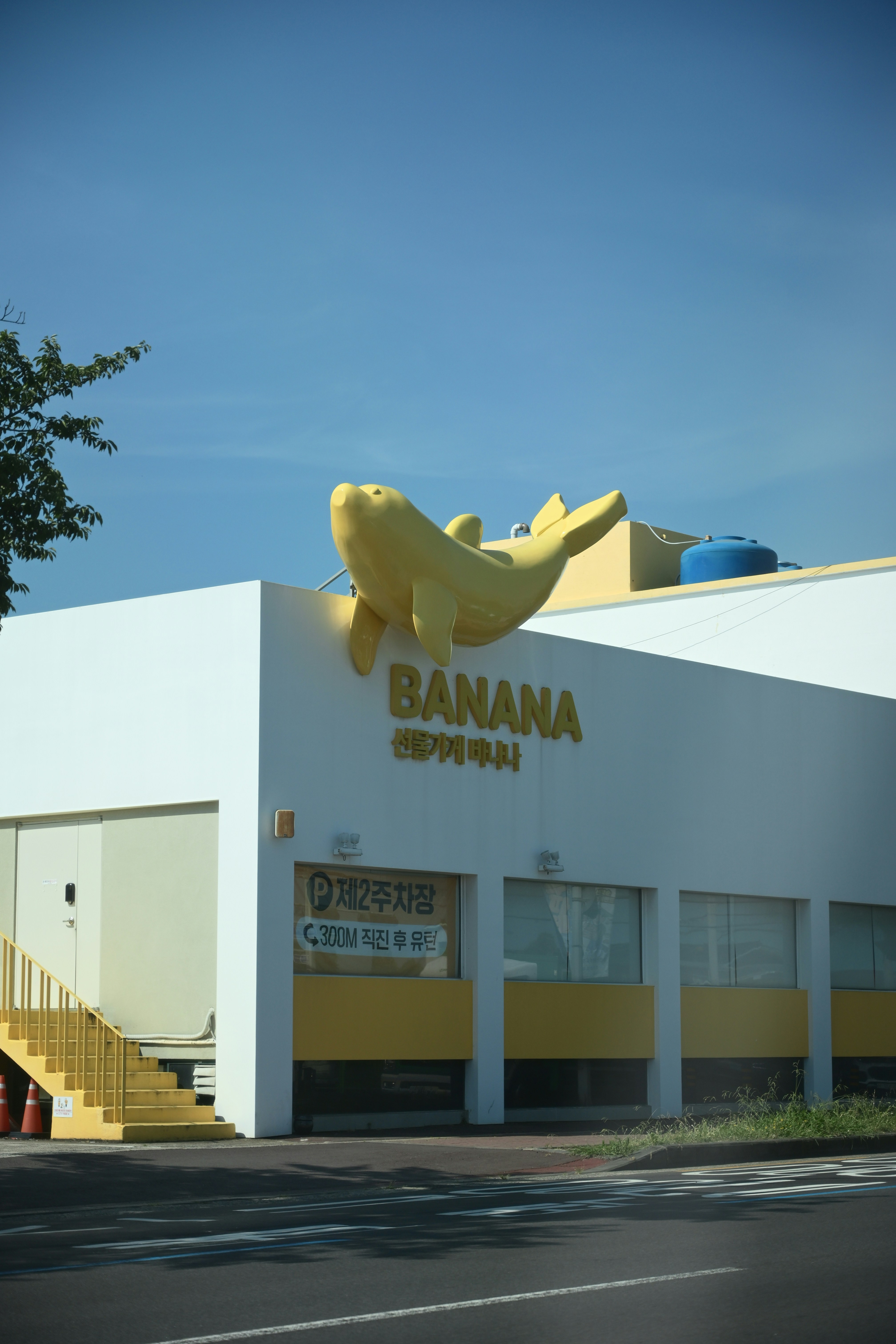 Whimsical Banana Encounter: A Playful Architectural Delight