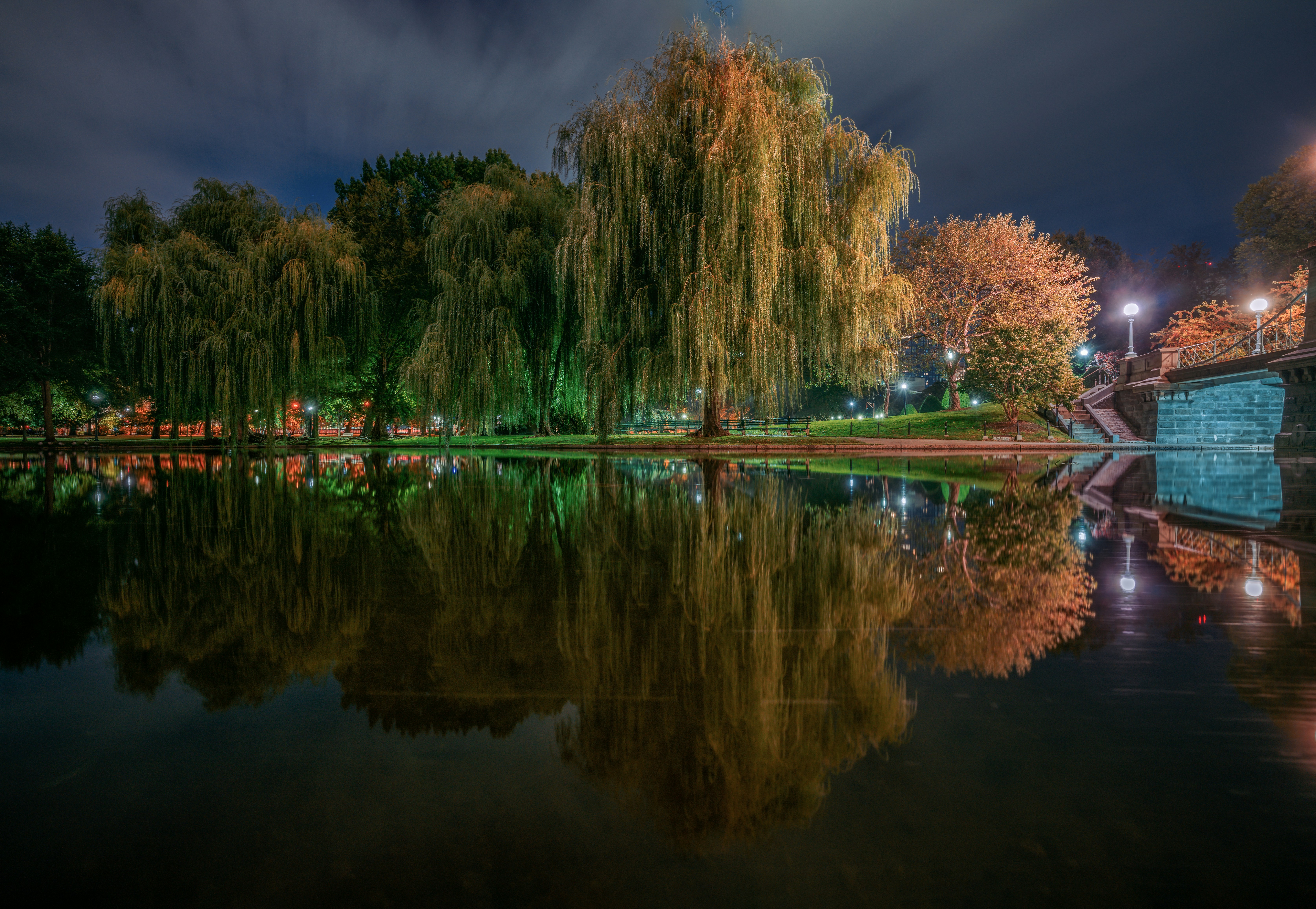 Weeping willow trees reflected in calm water at night photo – Free ...