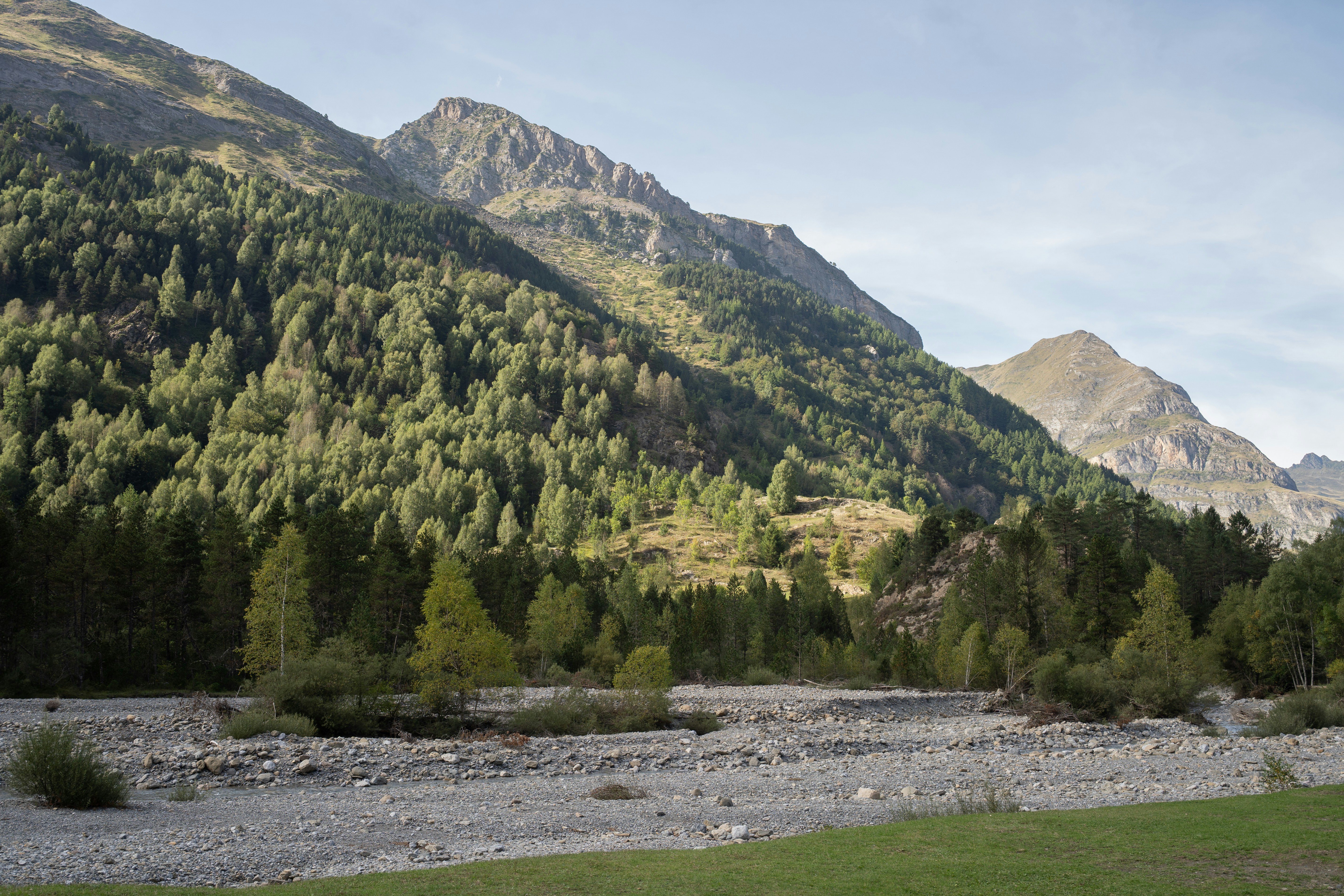 Camino hacia el Circo de Gavarnie en los Pirineos franceses, con un río seco en primer plano, bosques verdes en las laderas y montañas iluminadas por la luz de la tarde. | Mountain valley with pine trees and rocky riverbed
