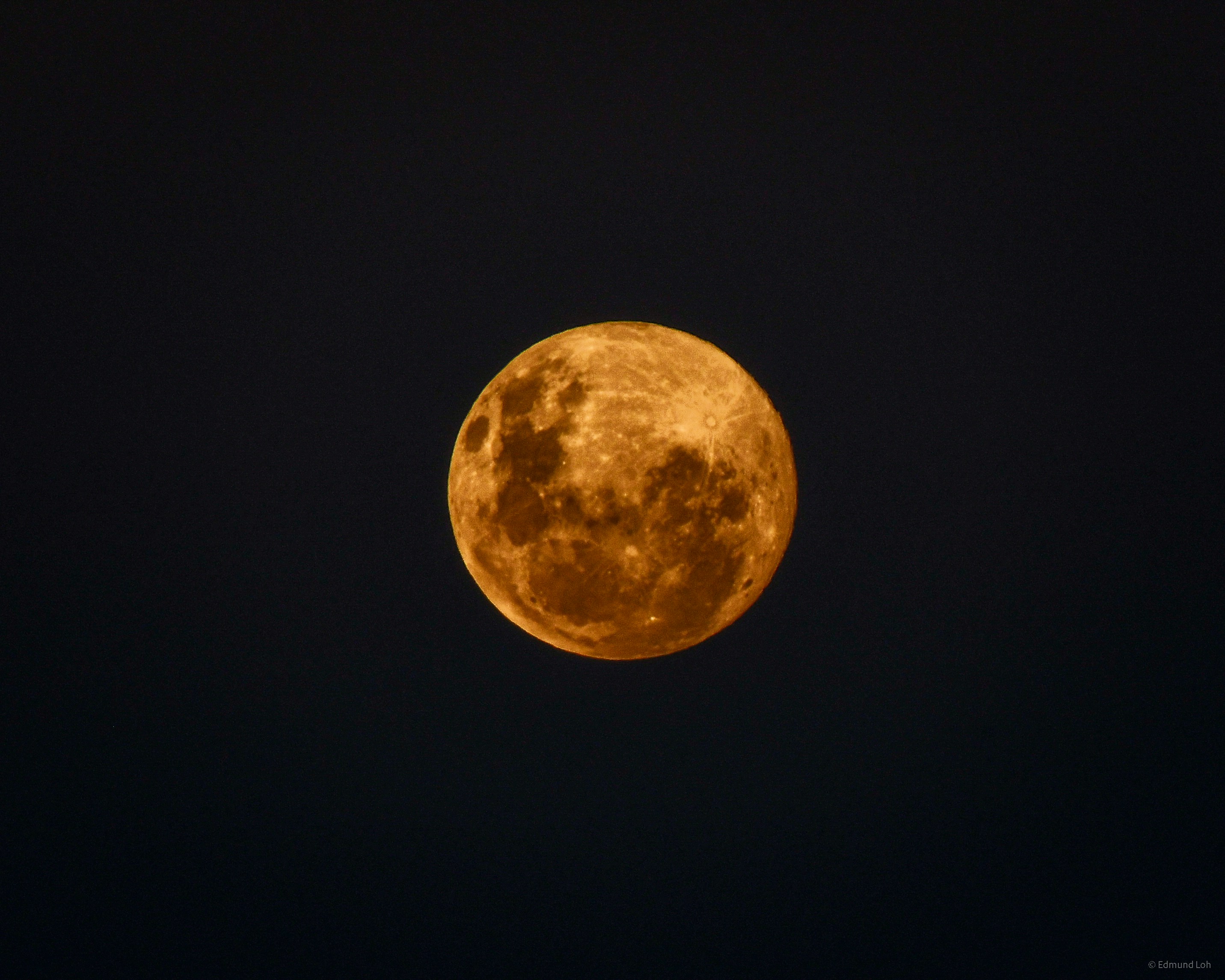Lunar Embrace: The Golden Orb