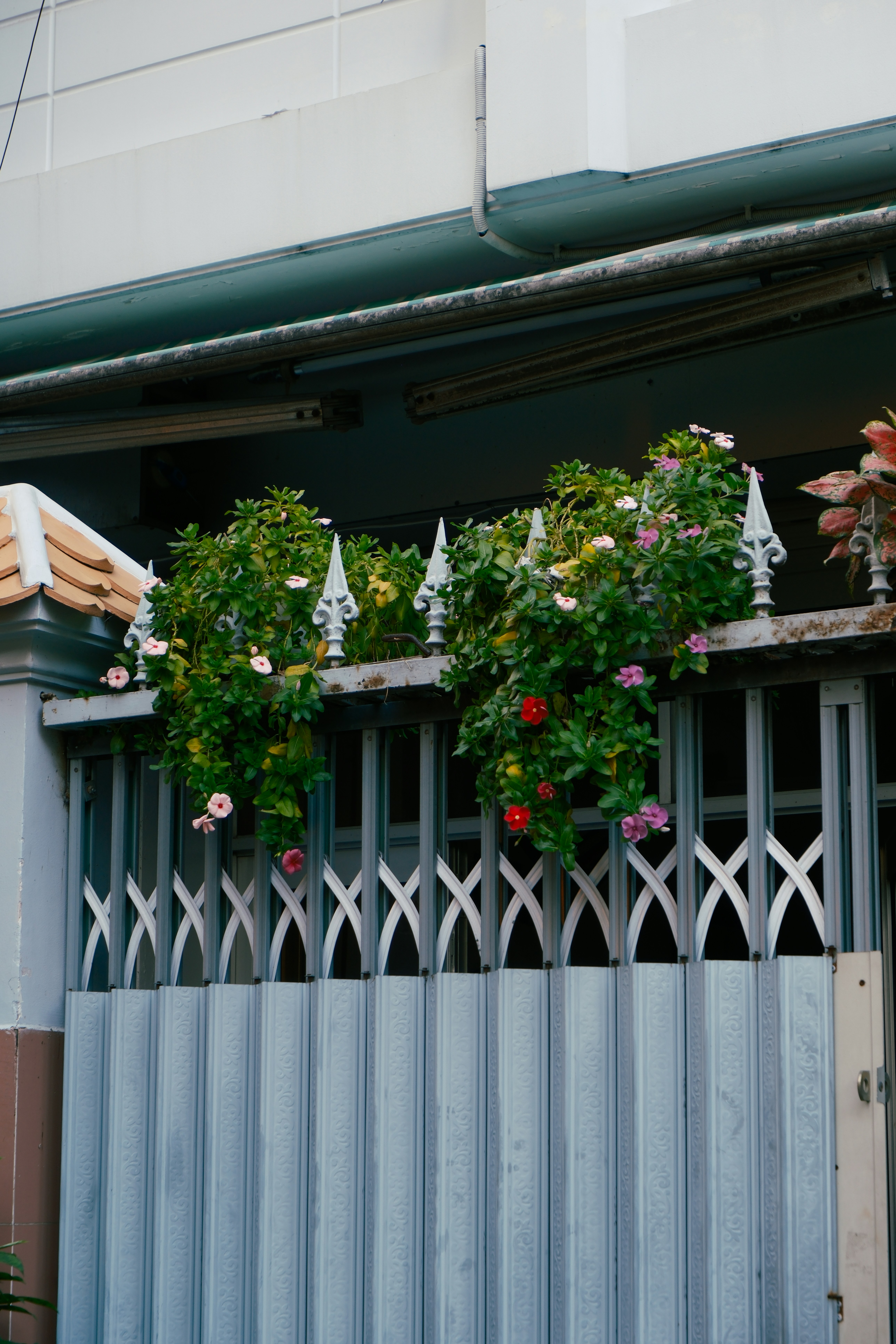 Floral Elegance Above the Gate