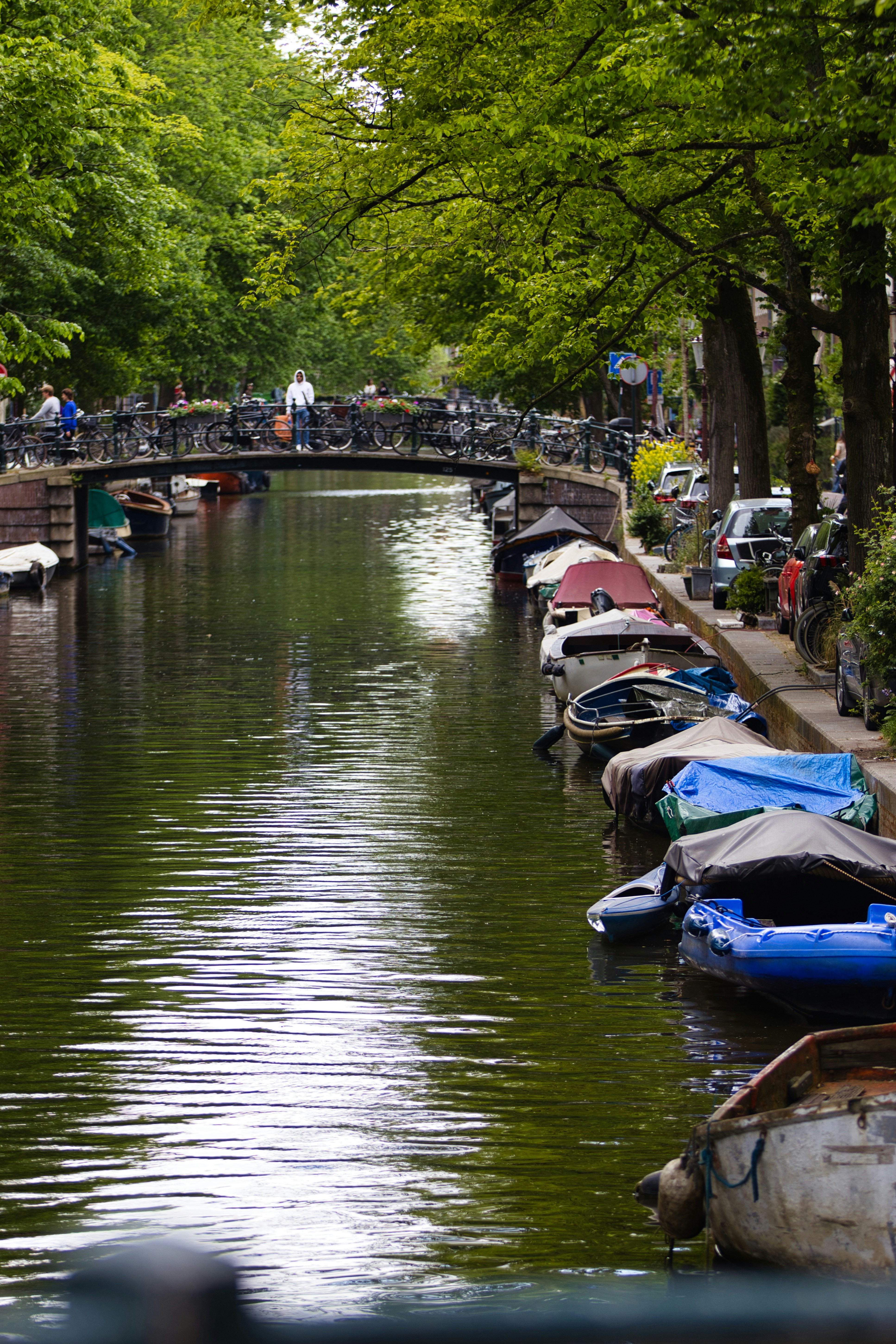 Boats docked along a tree-lined canal with a bridge. photo – Free City ...