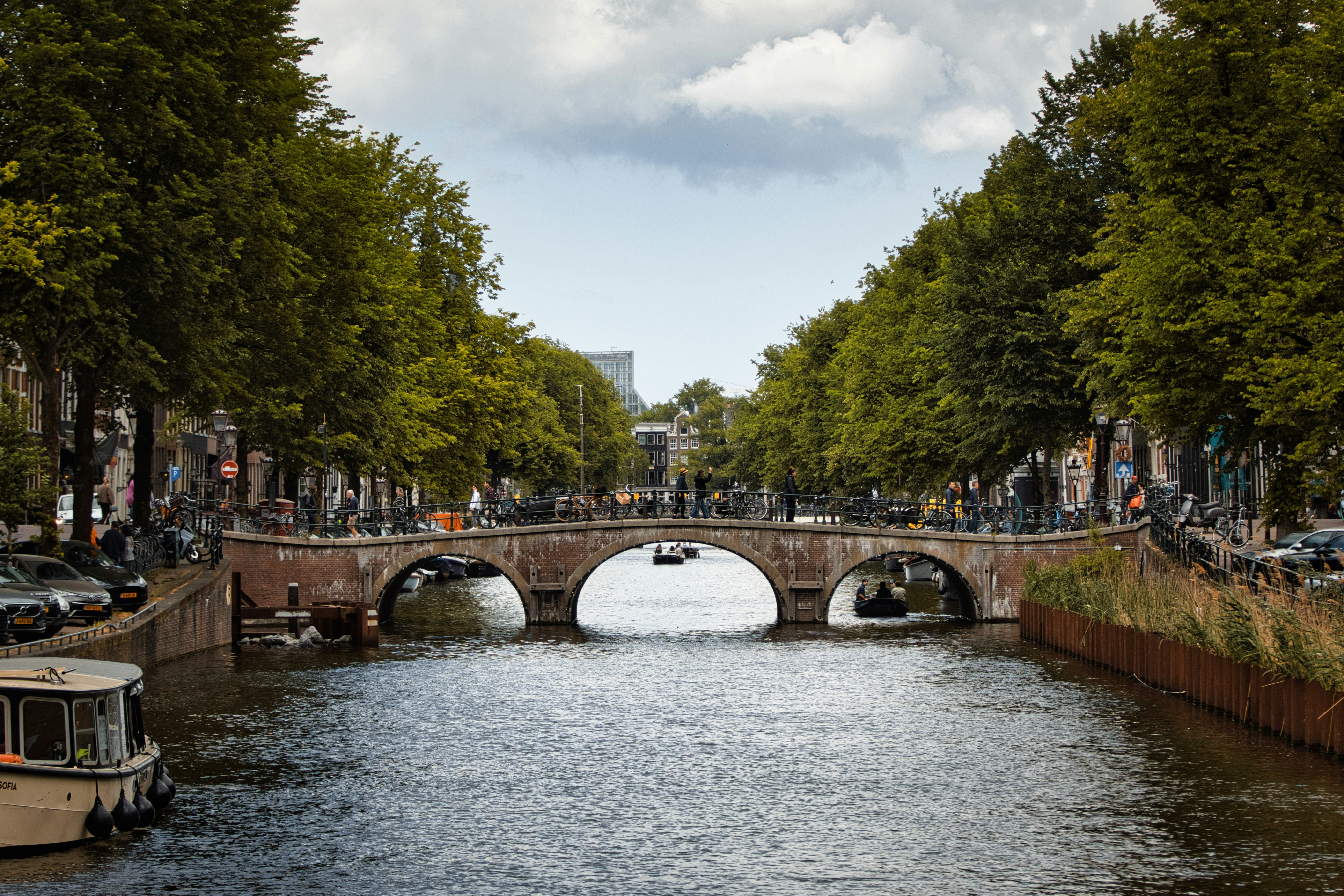 Canal bridge lined with trees and buildings in amsterdam