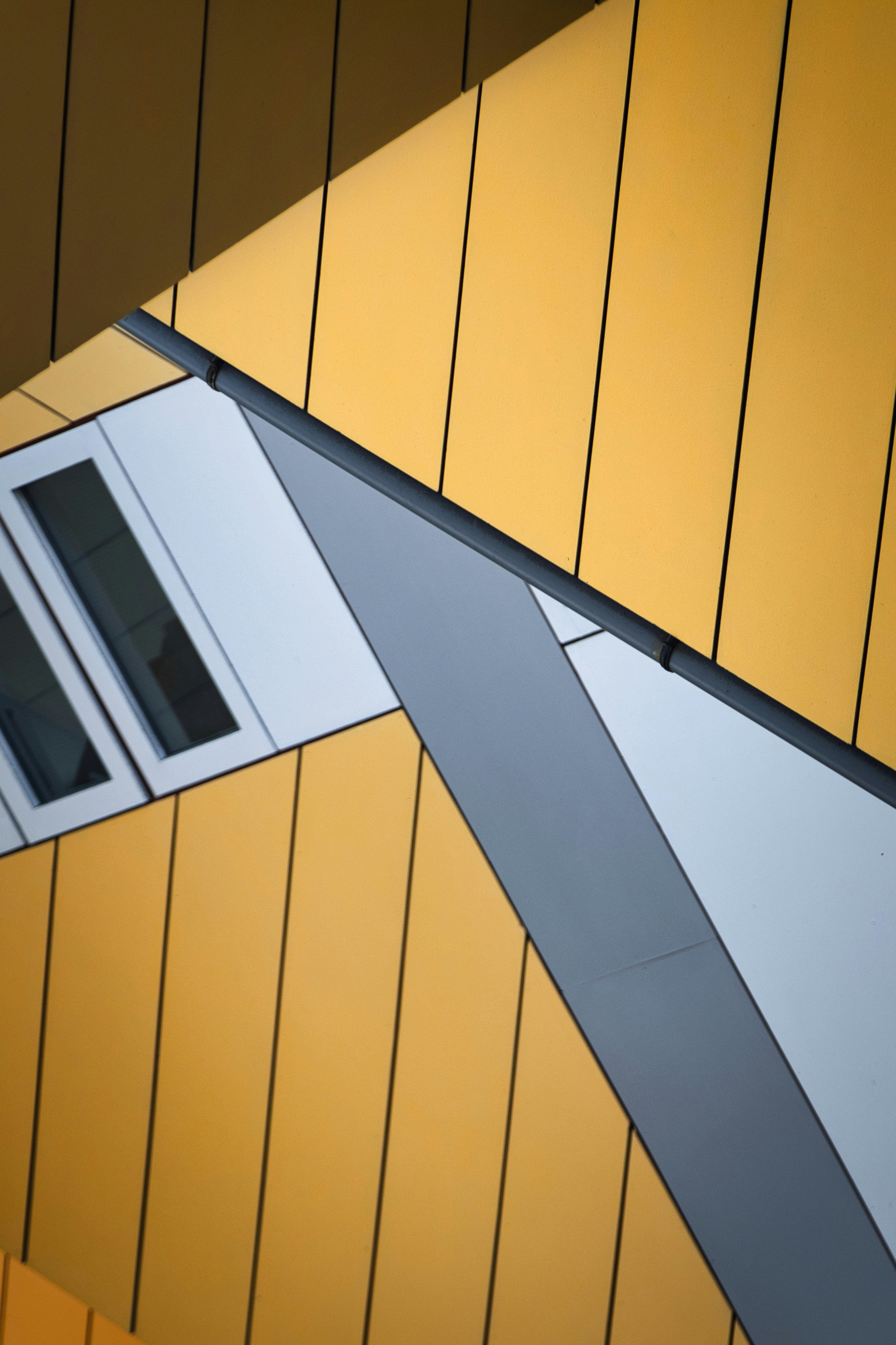 Geometric Harmony: The Dance of Angles and Colors