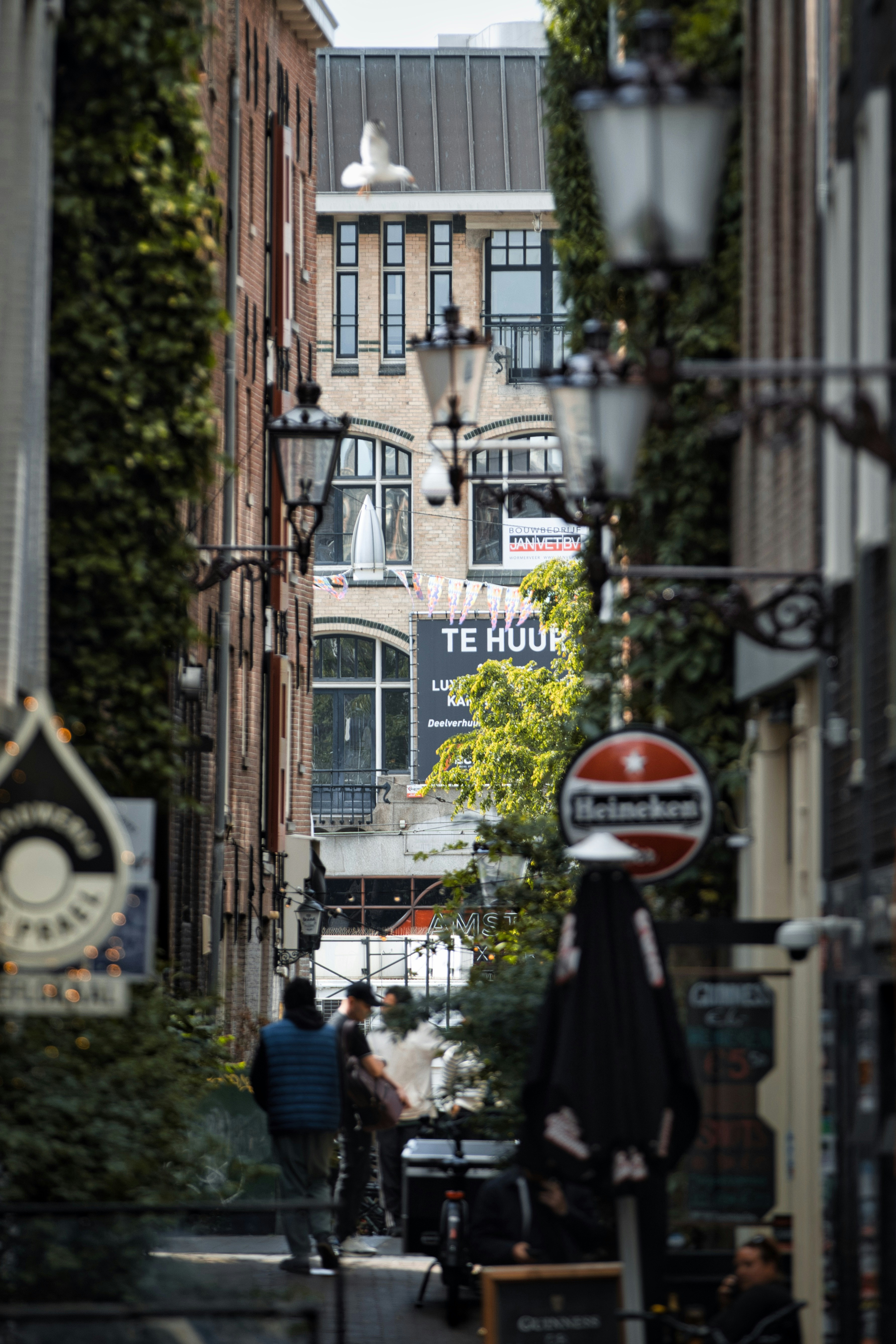 Urban Reflections: A Glimpse Through the Alley