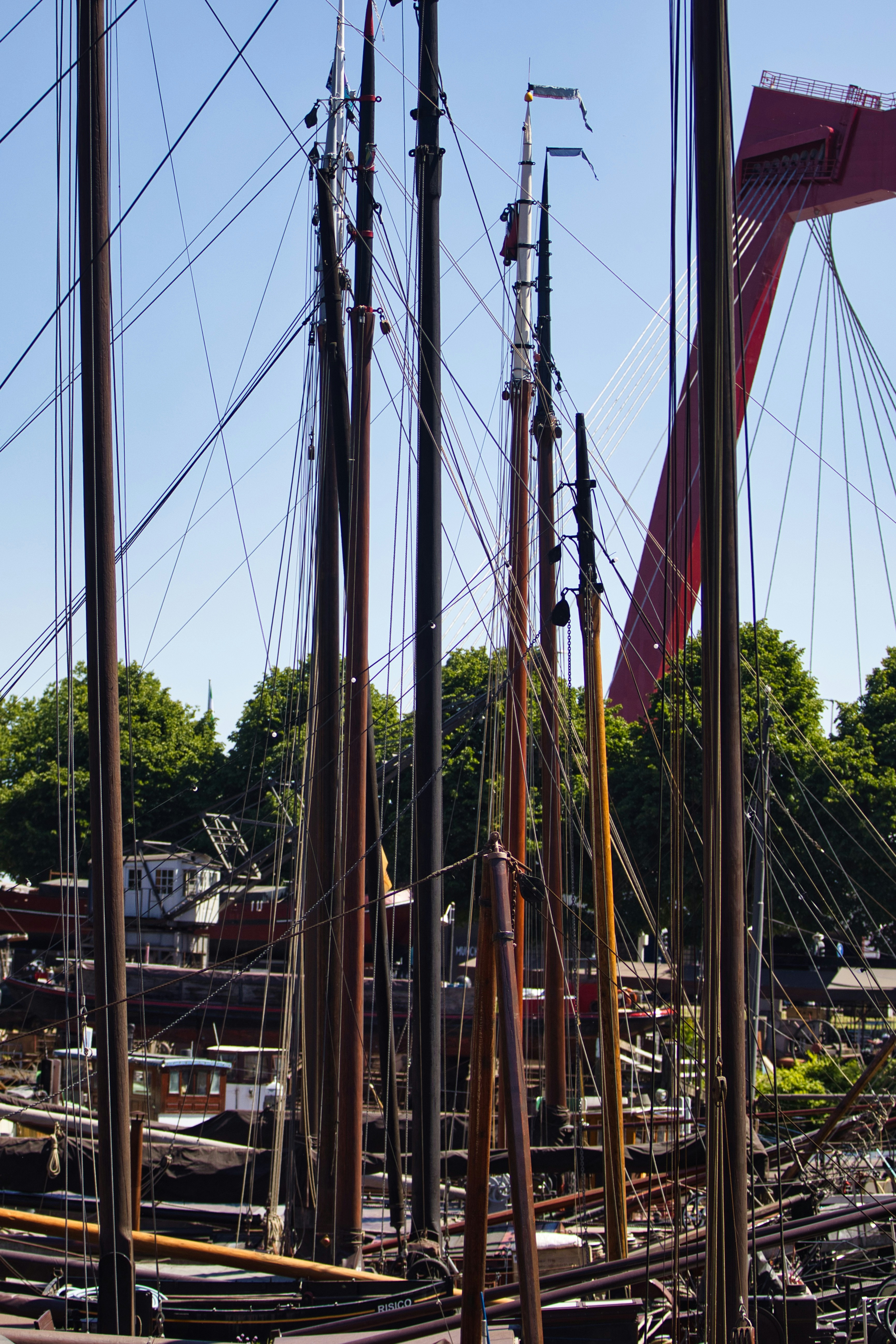 Tall masts of sailboats against a blue sky.