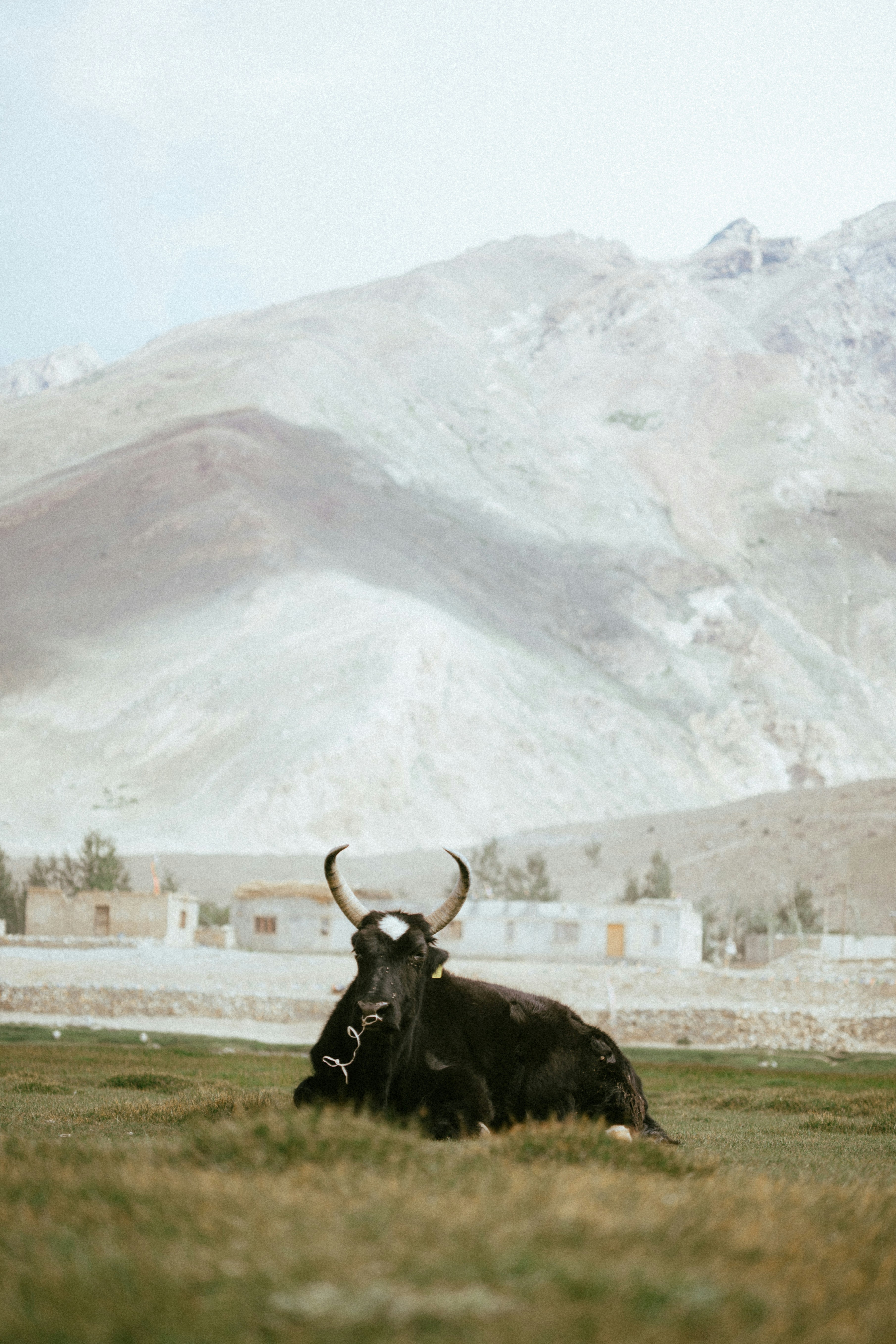 Serenity Amidst the Mountains