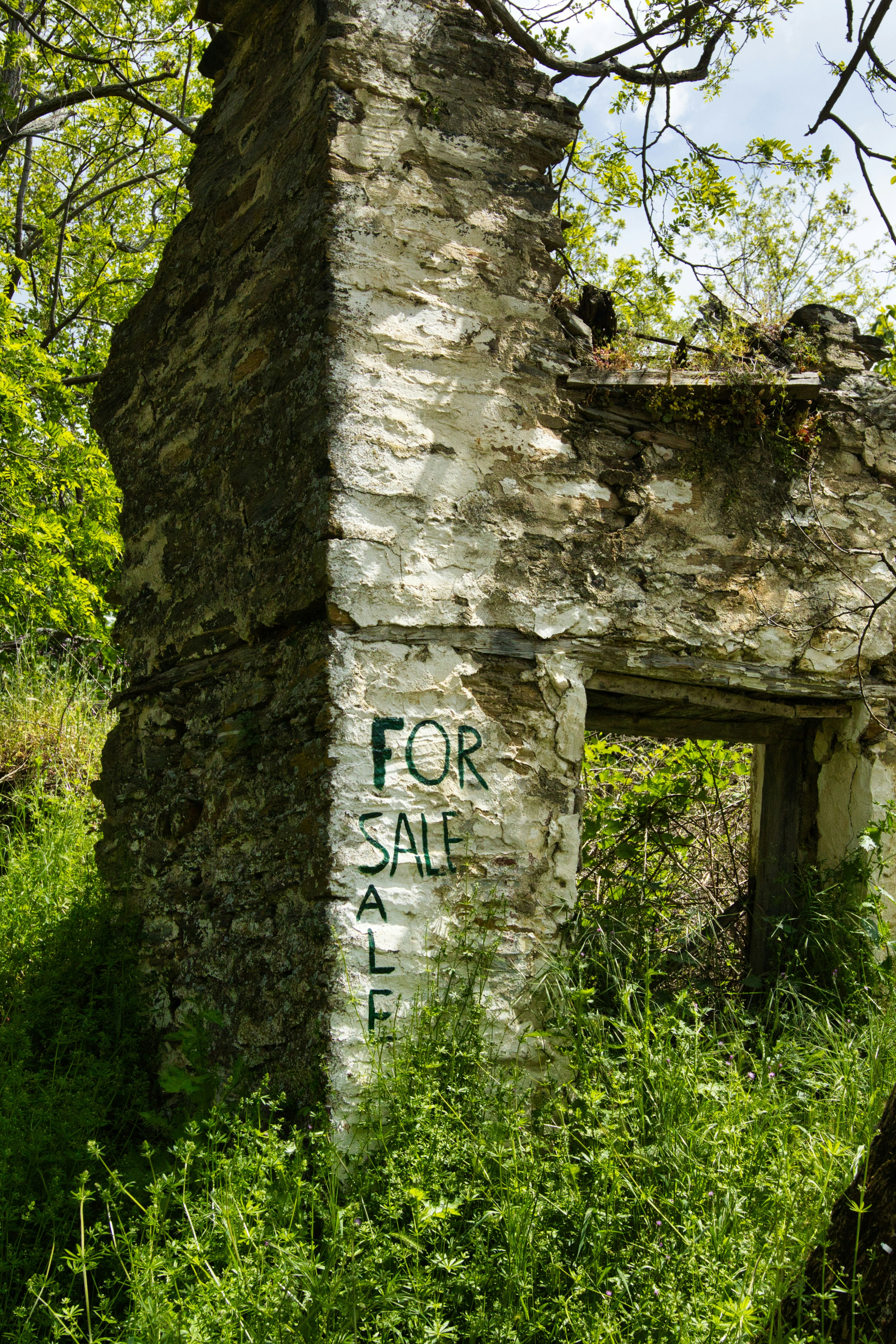 Whispers of Abandonment: A Forgotten Sale