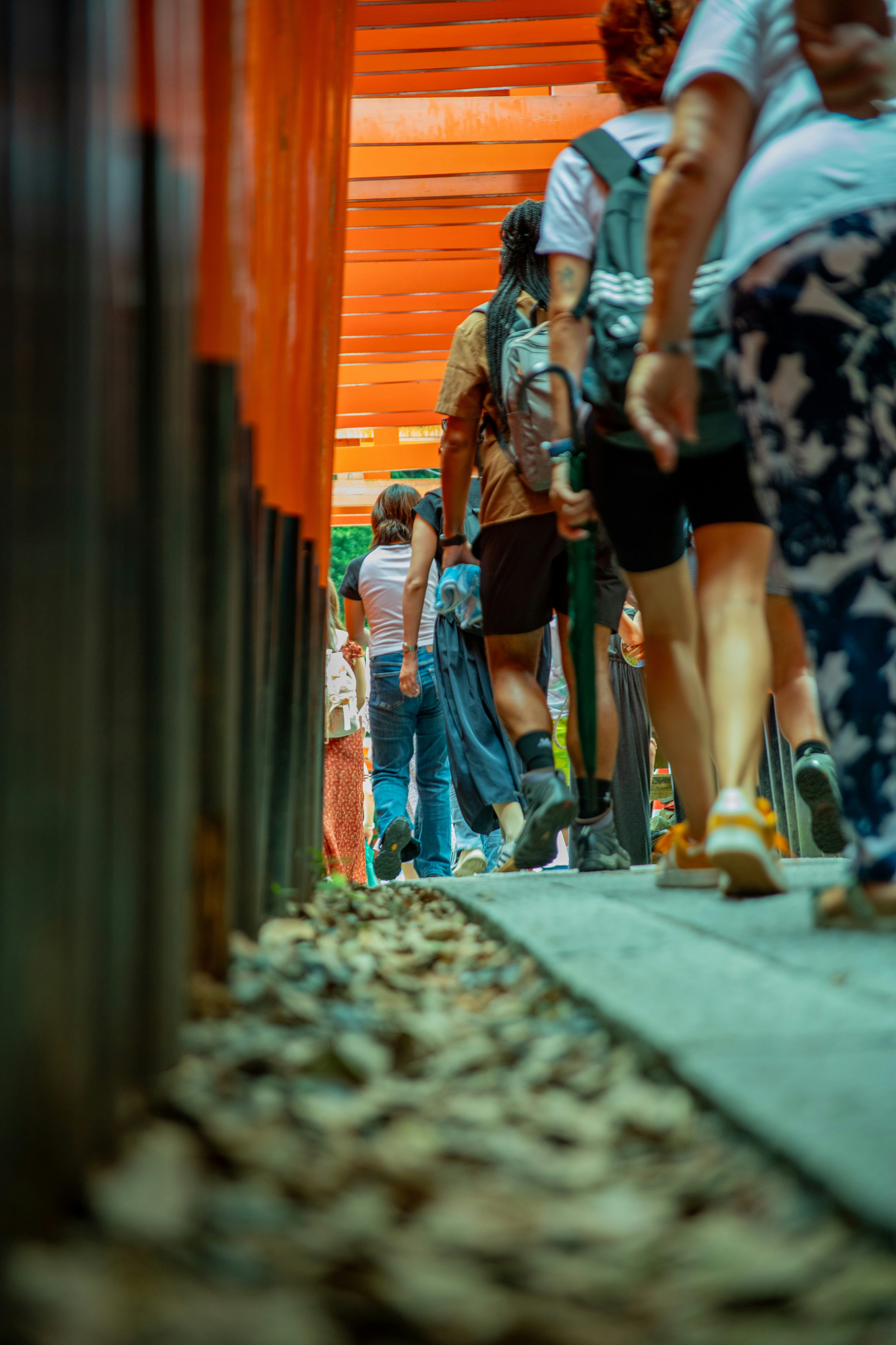 Journey Through the Vibrant Pathway