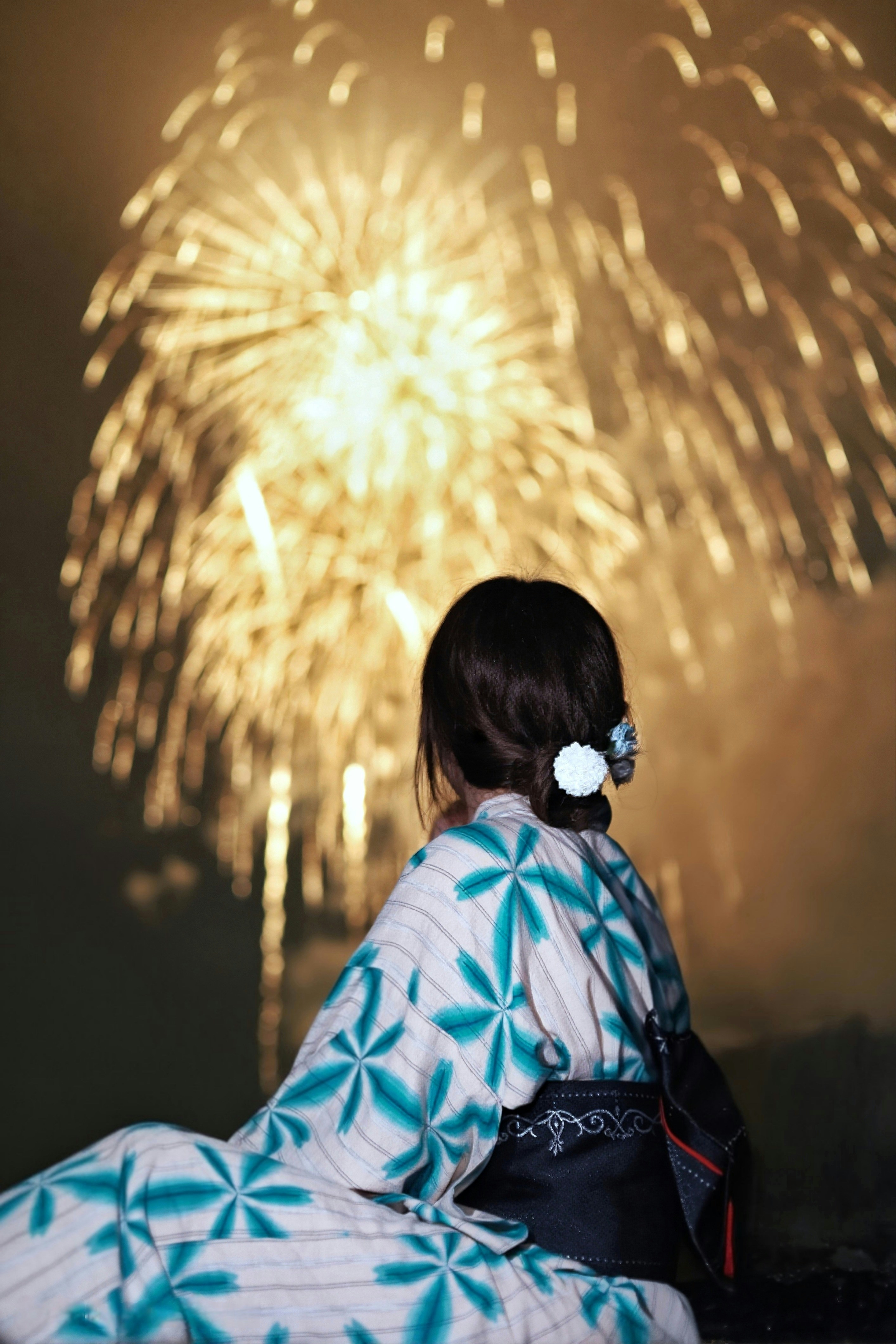 Whispers of Celebration: A Night of Fireworks and Tradition