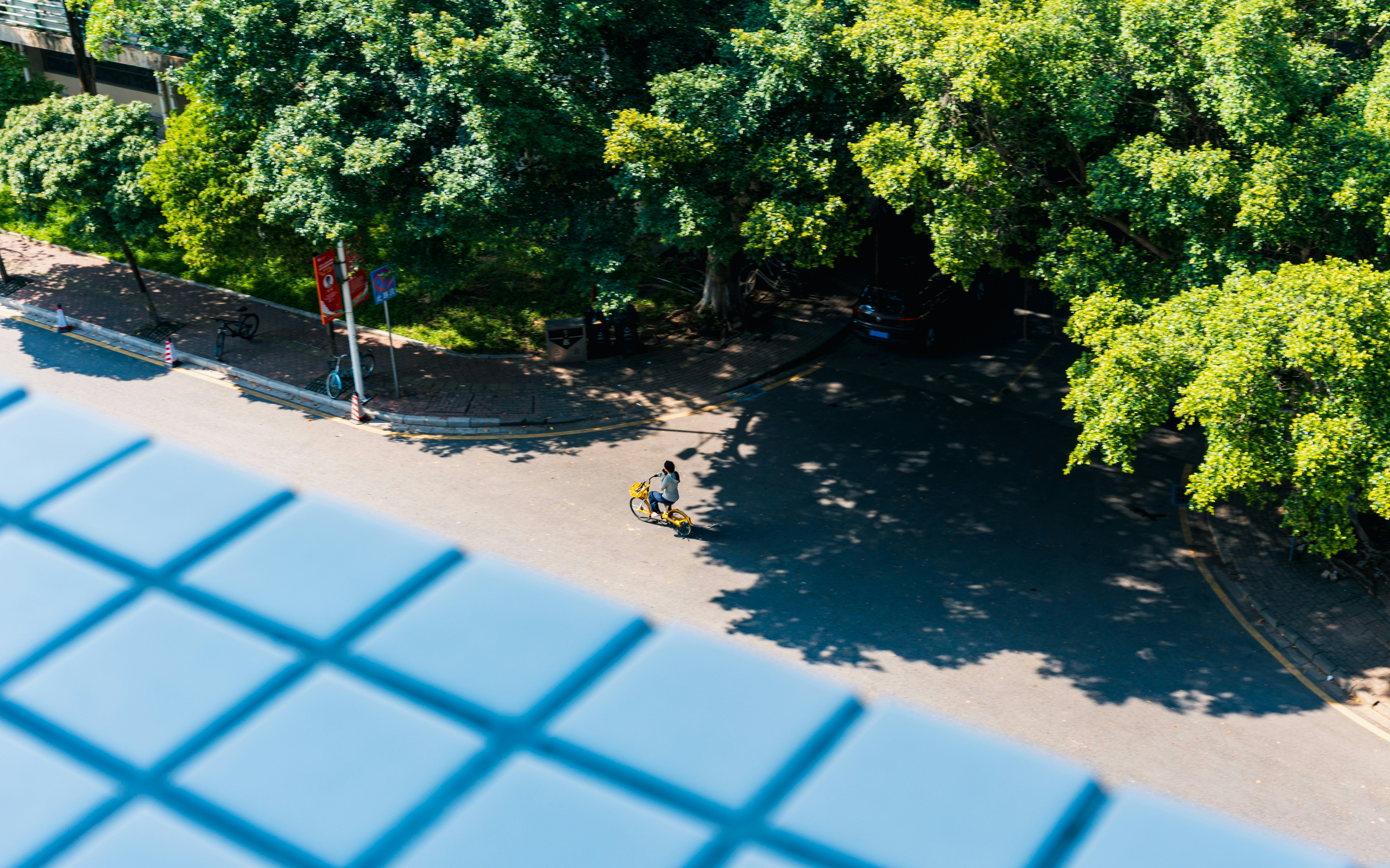 Urban Serenity: A Cyclist's Journey Through Dappled Light