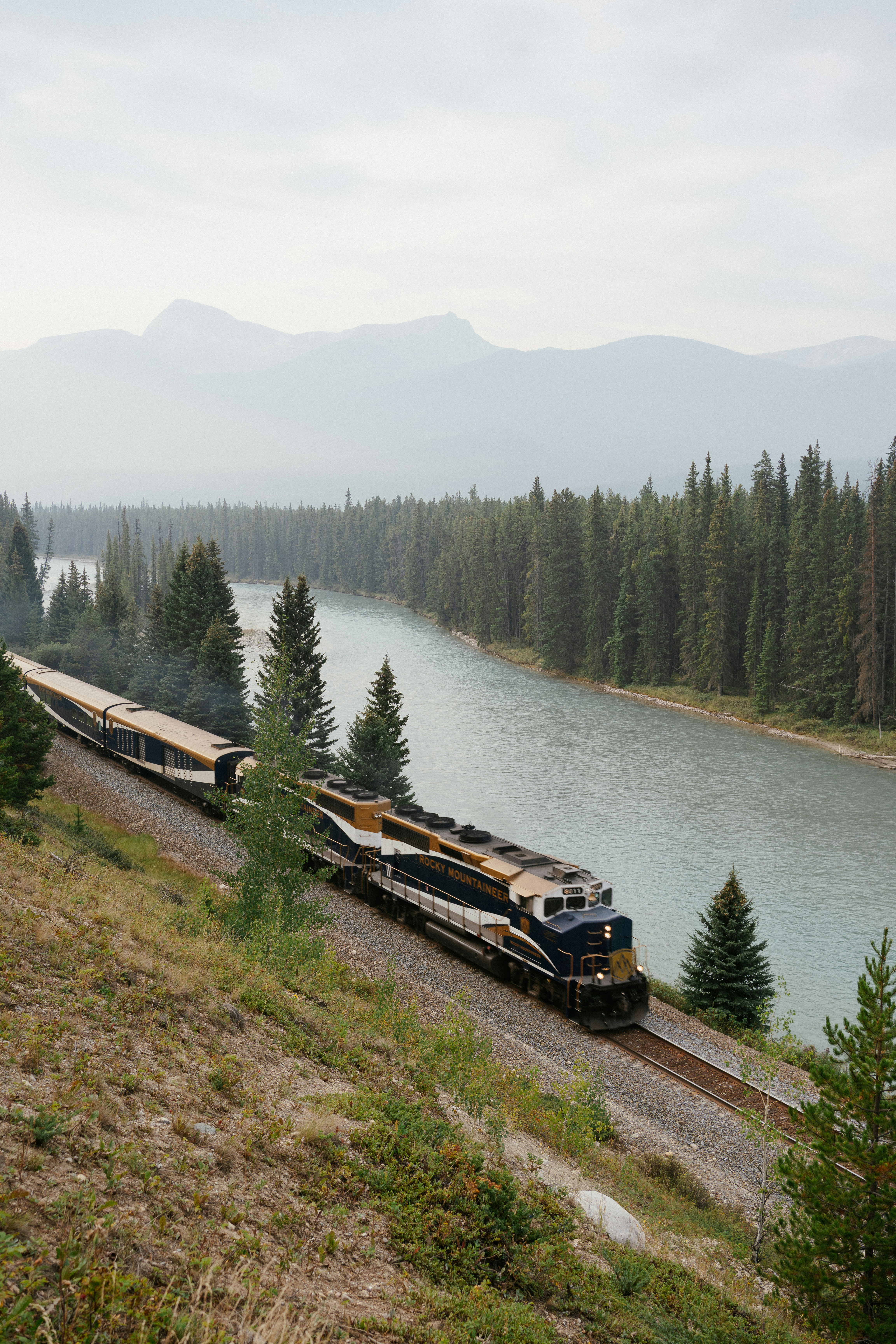 Journey Through Misty Wilderness: A Train's Passage