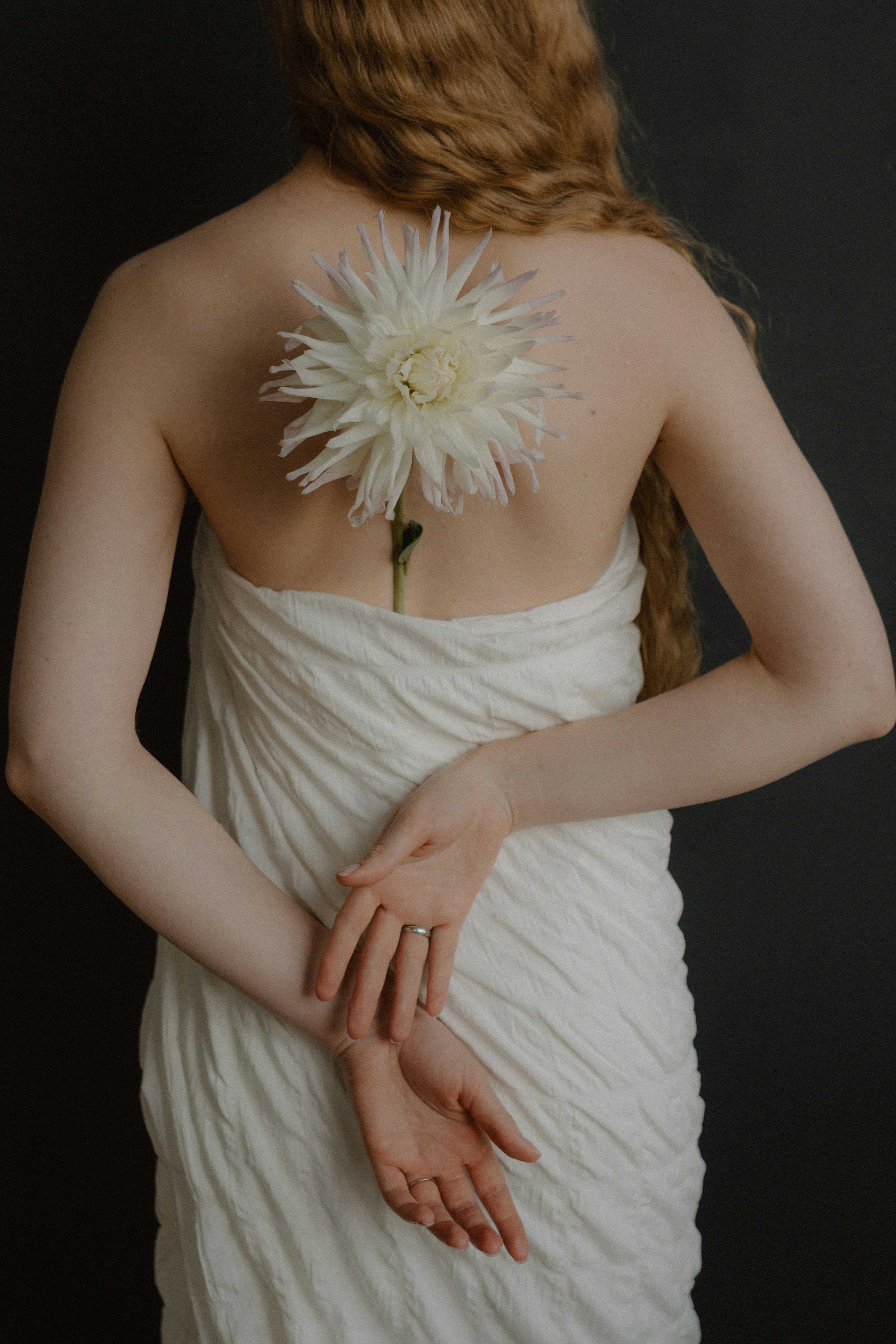 Whispers of Nature's Elegance