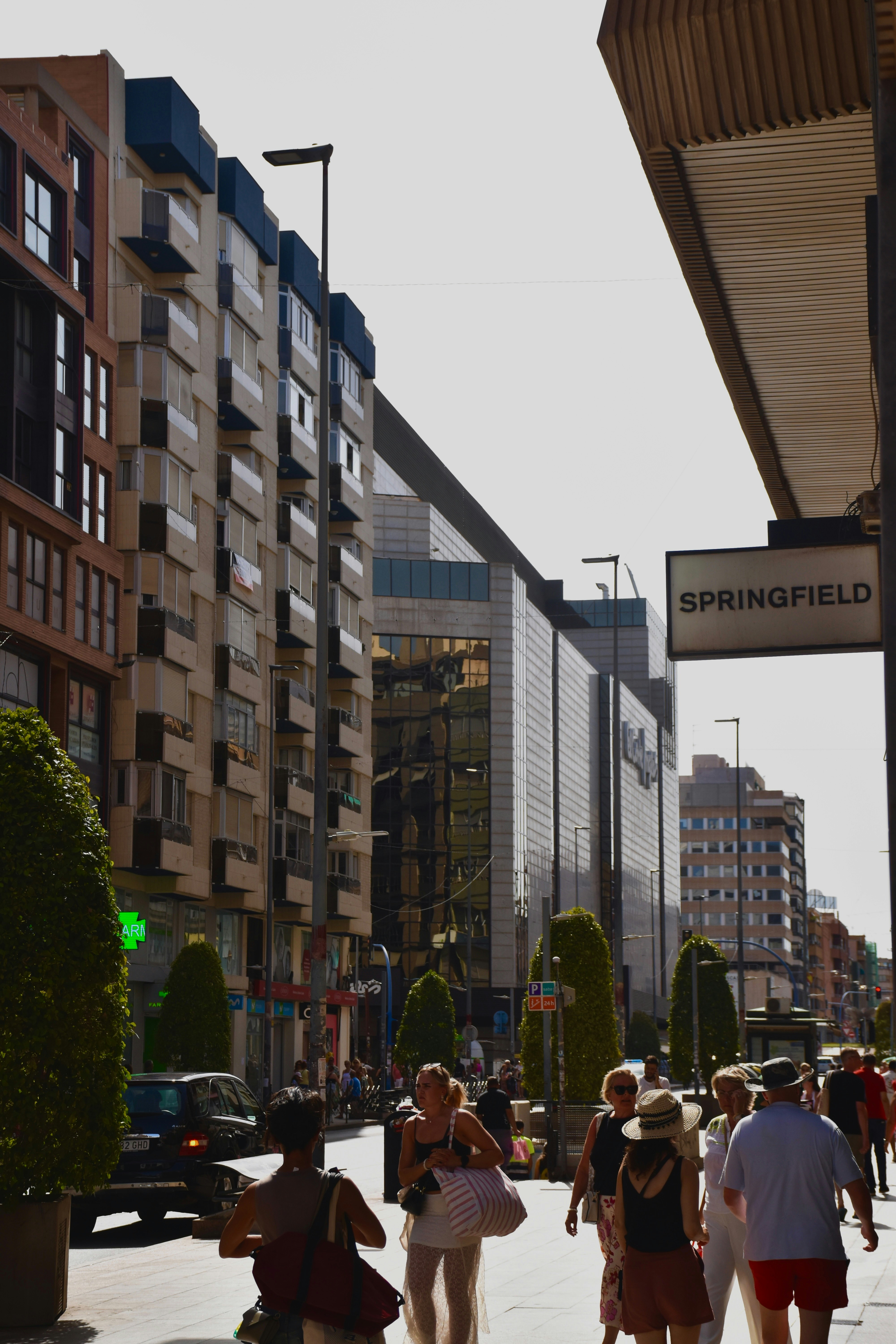 Urban Pulse: A Stroll Through Springfield