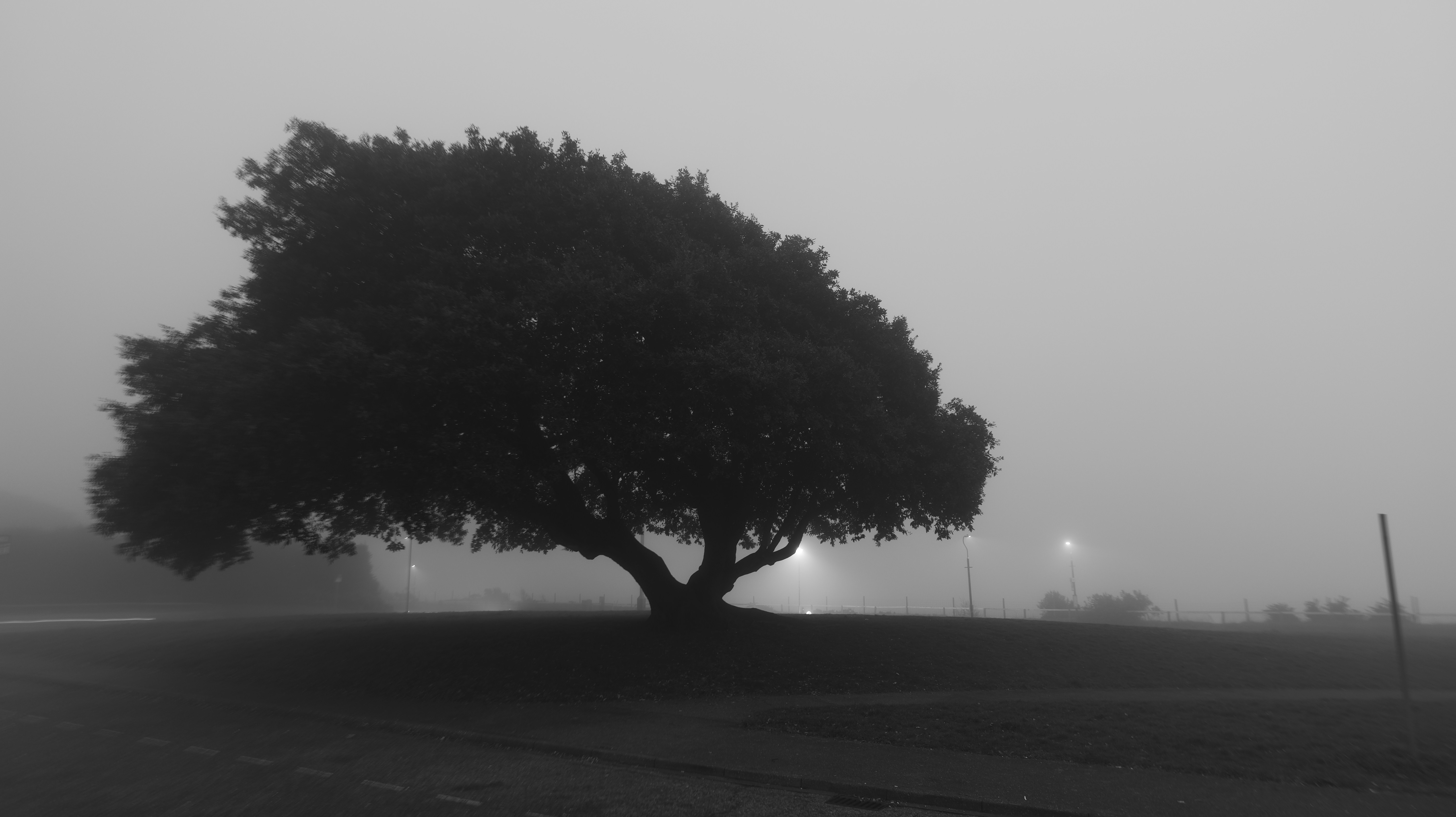 Silent Sentinel of the Fog