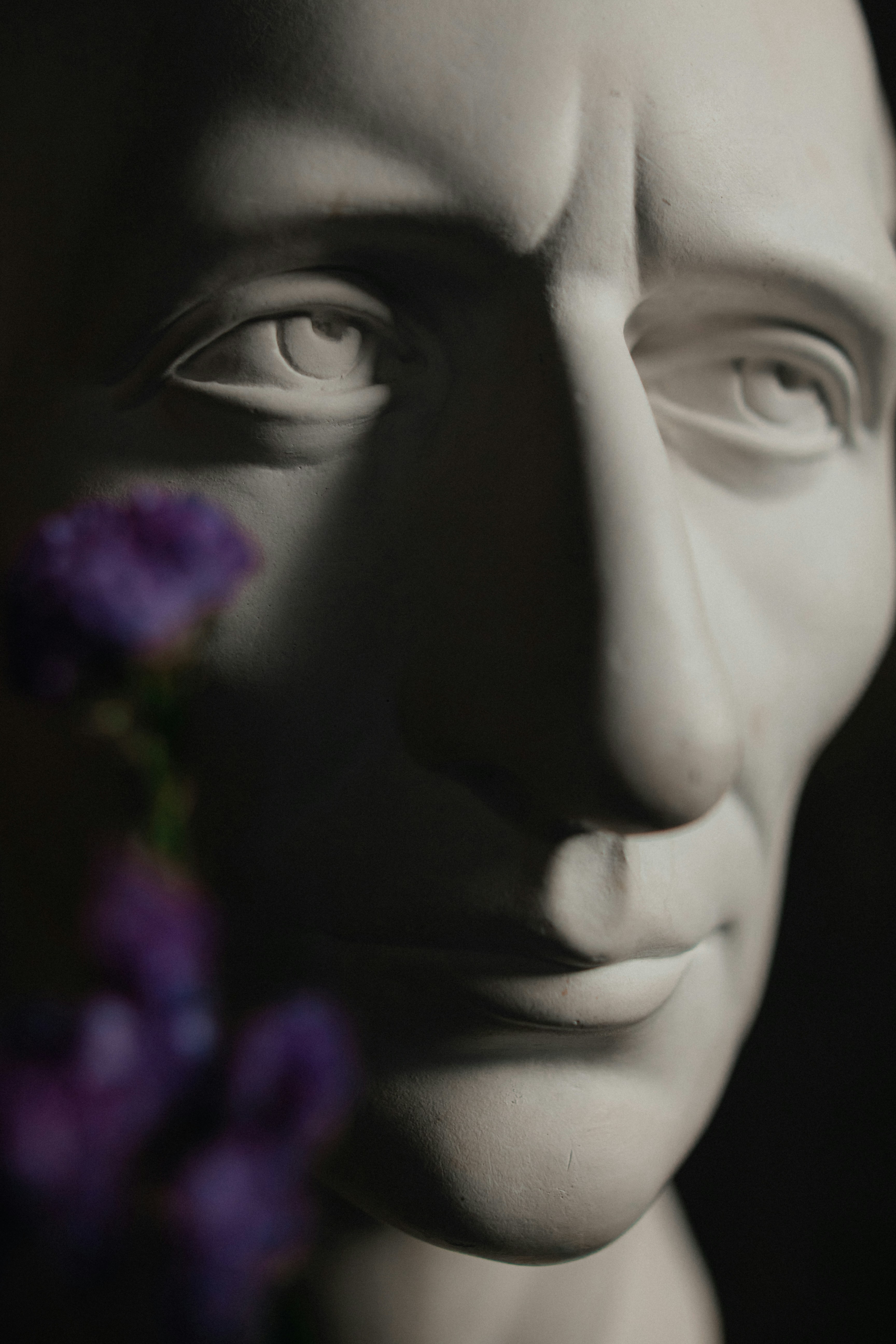 White bust of a man with purple flowers in foreground.