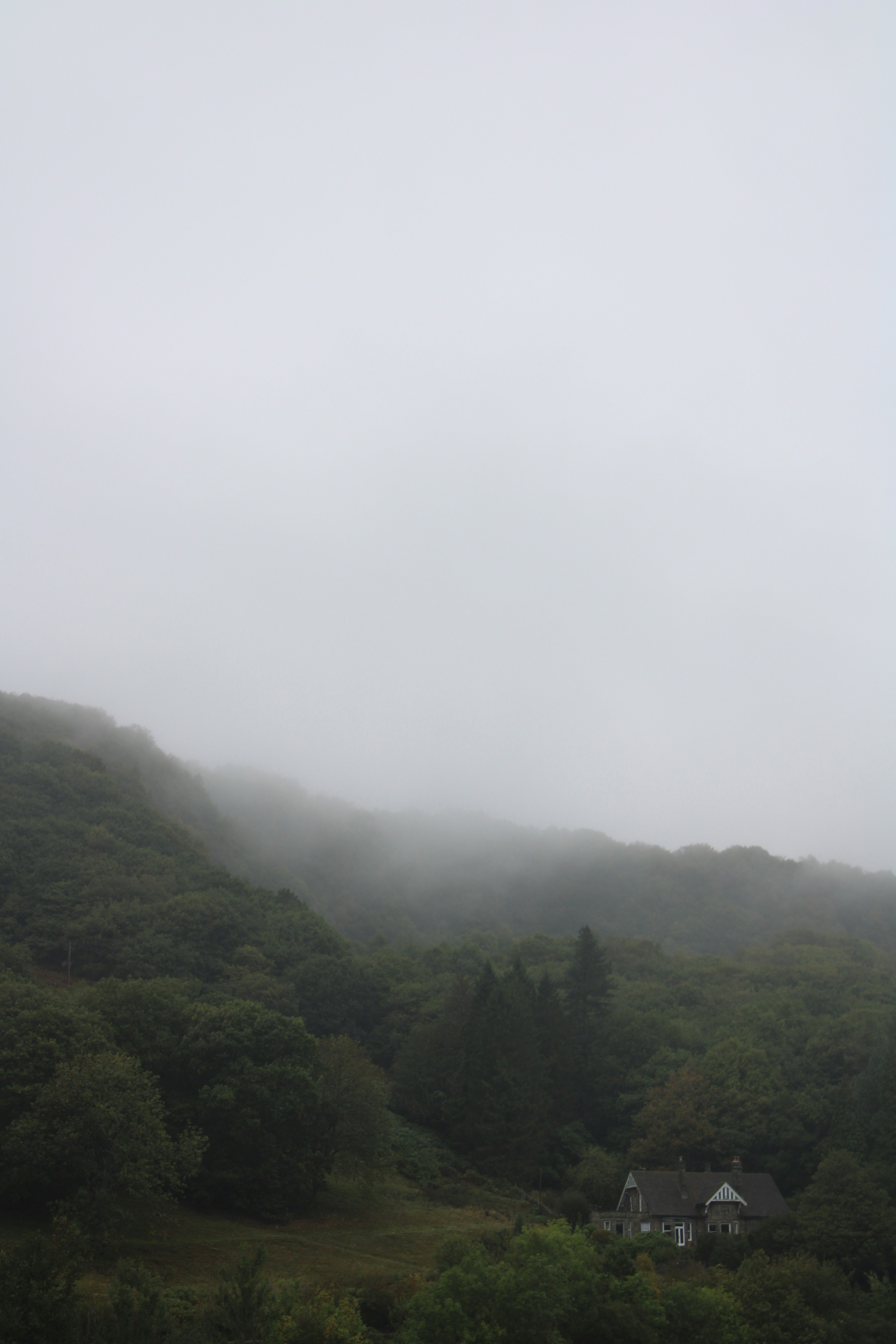 Whispers of the Misty Hills