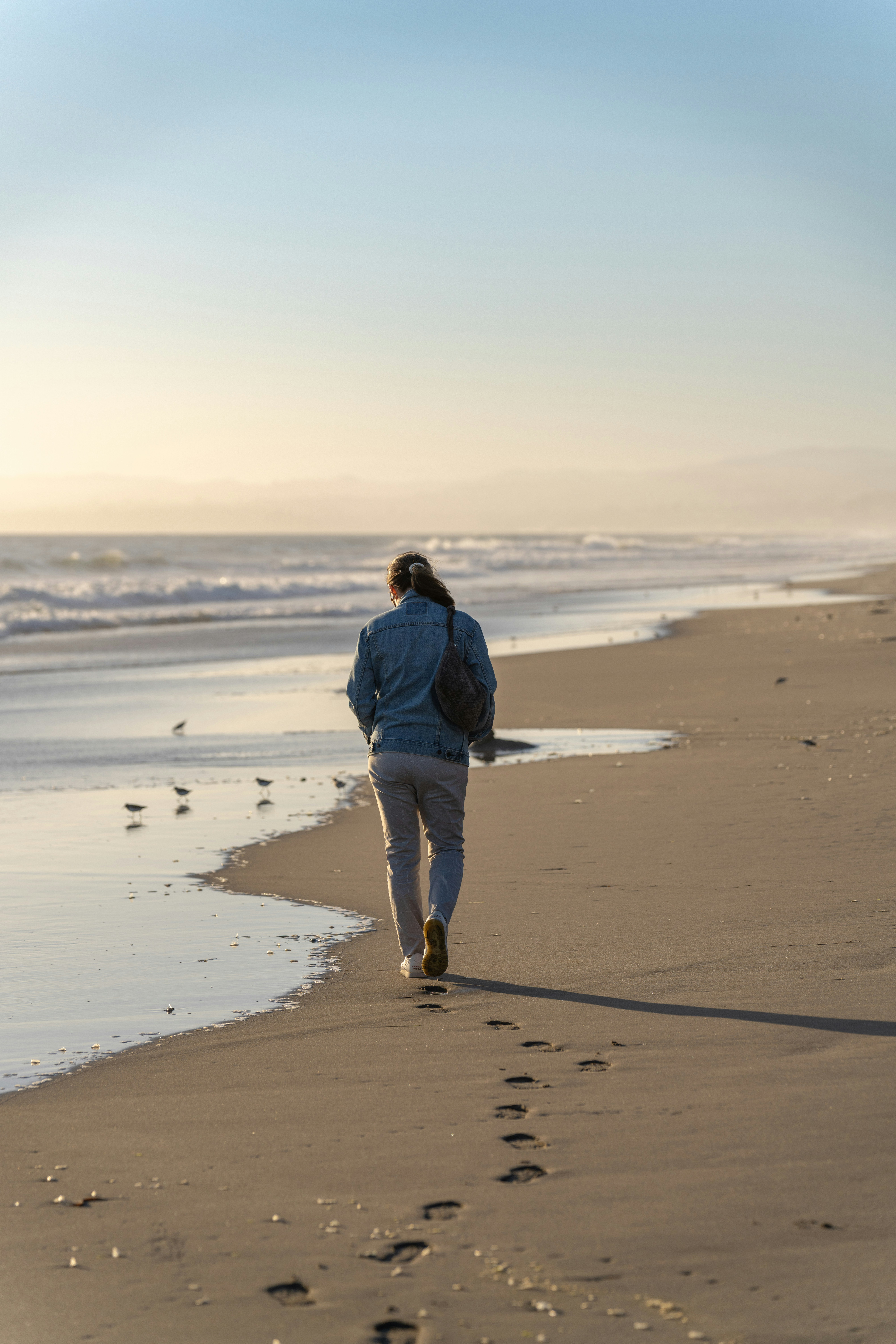 A Serene Stroll Along the Shoreline