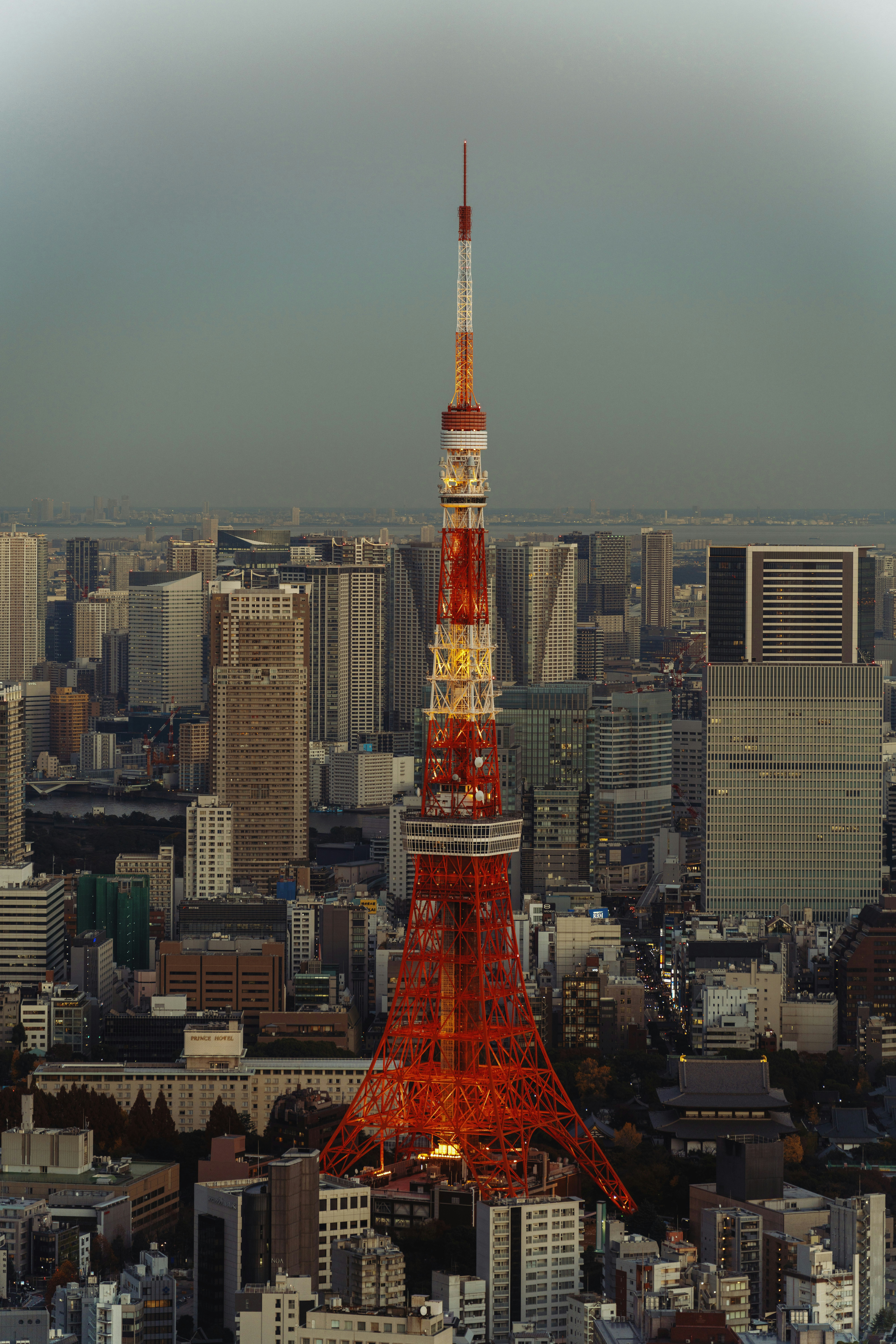 Tokyo tower illuminated at dusk with city skyline