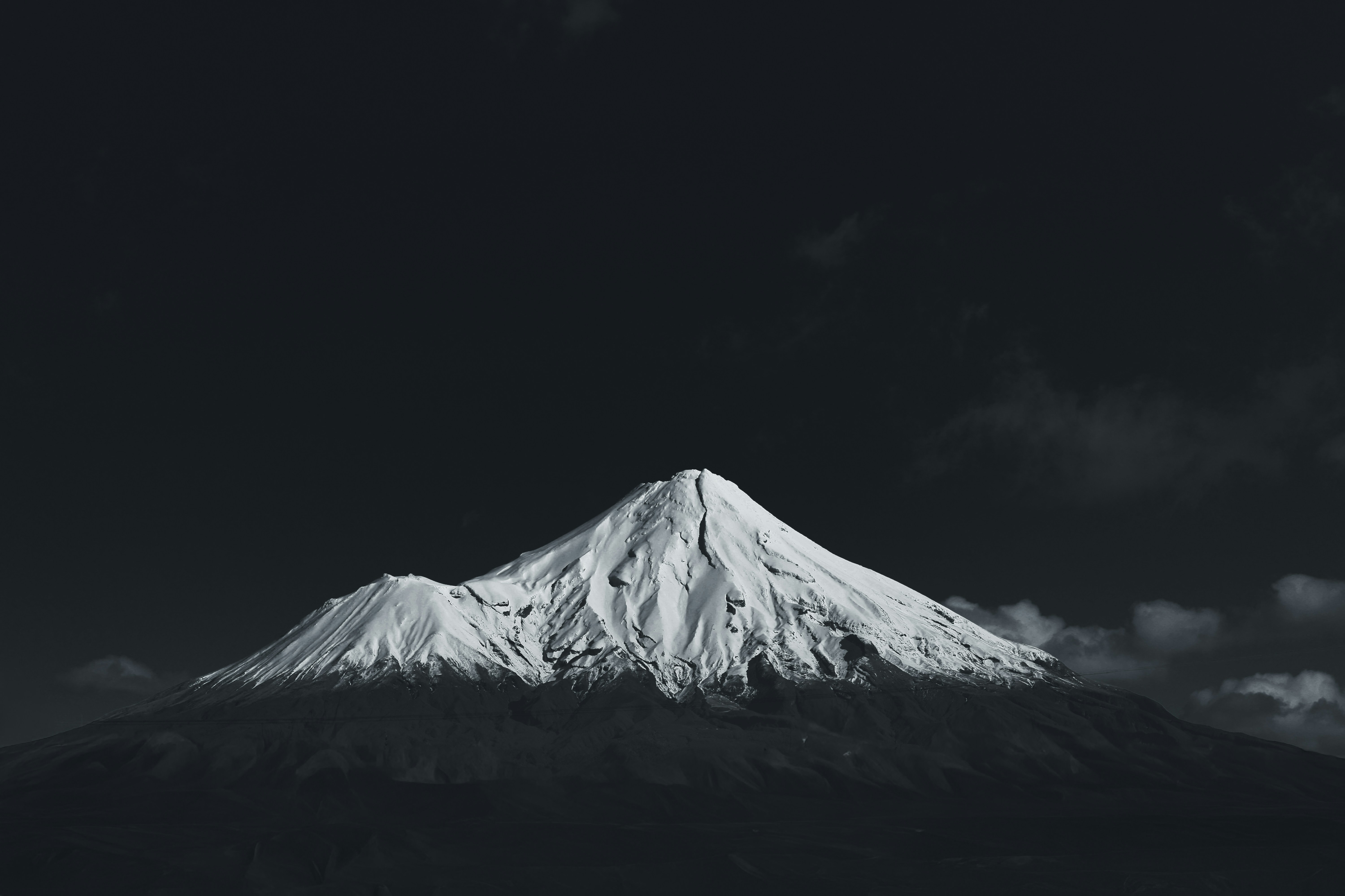 The Silent Sentinel: A Monochrome Majesty