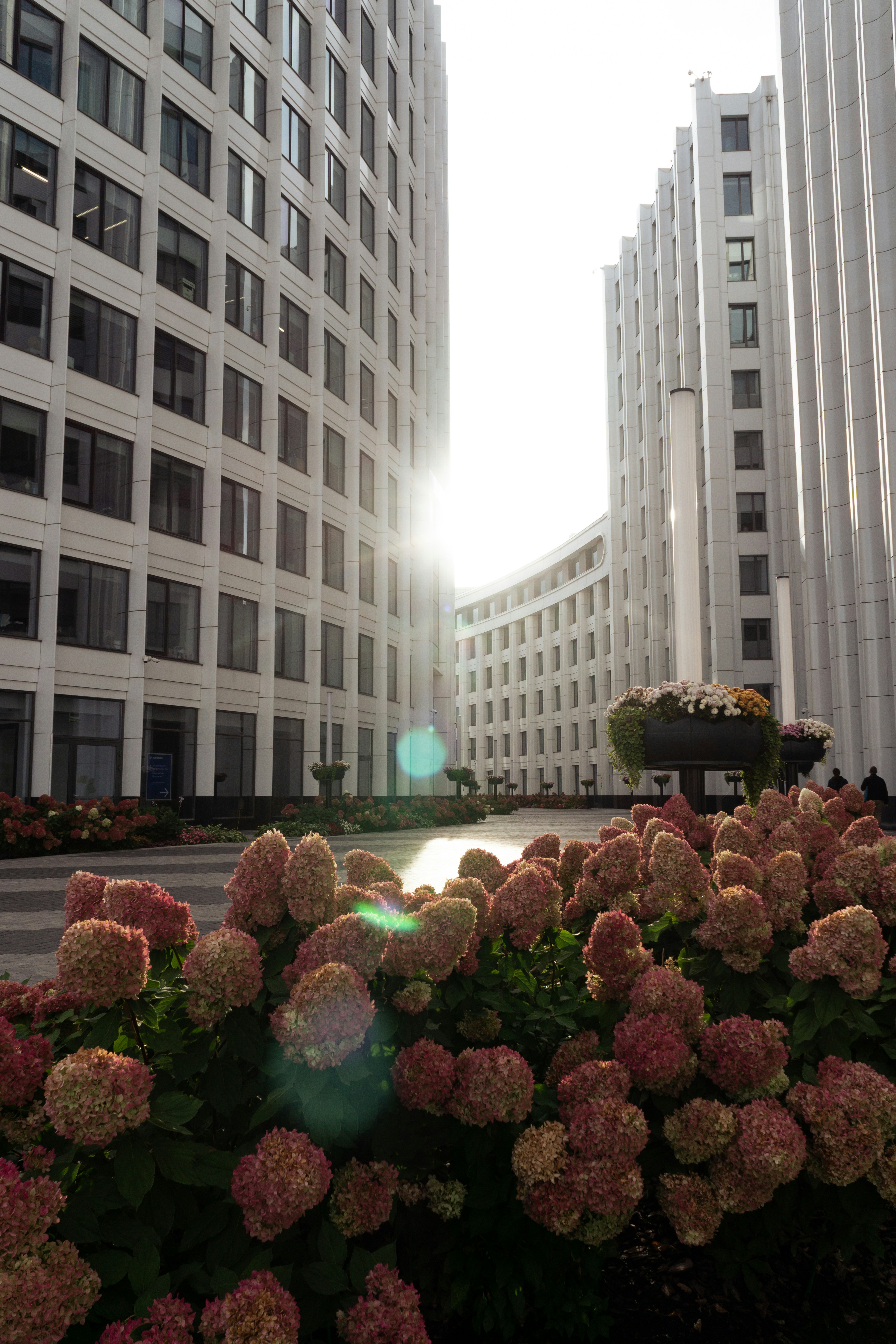 Photo by Max Lander with Sony Alpha 6000