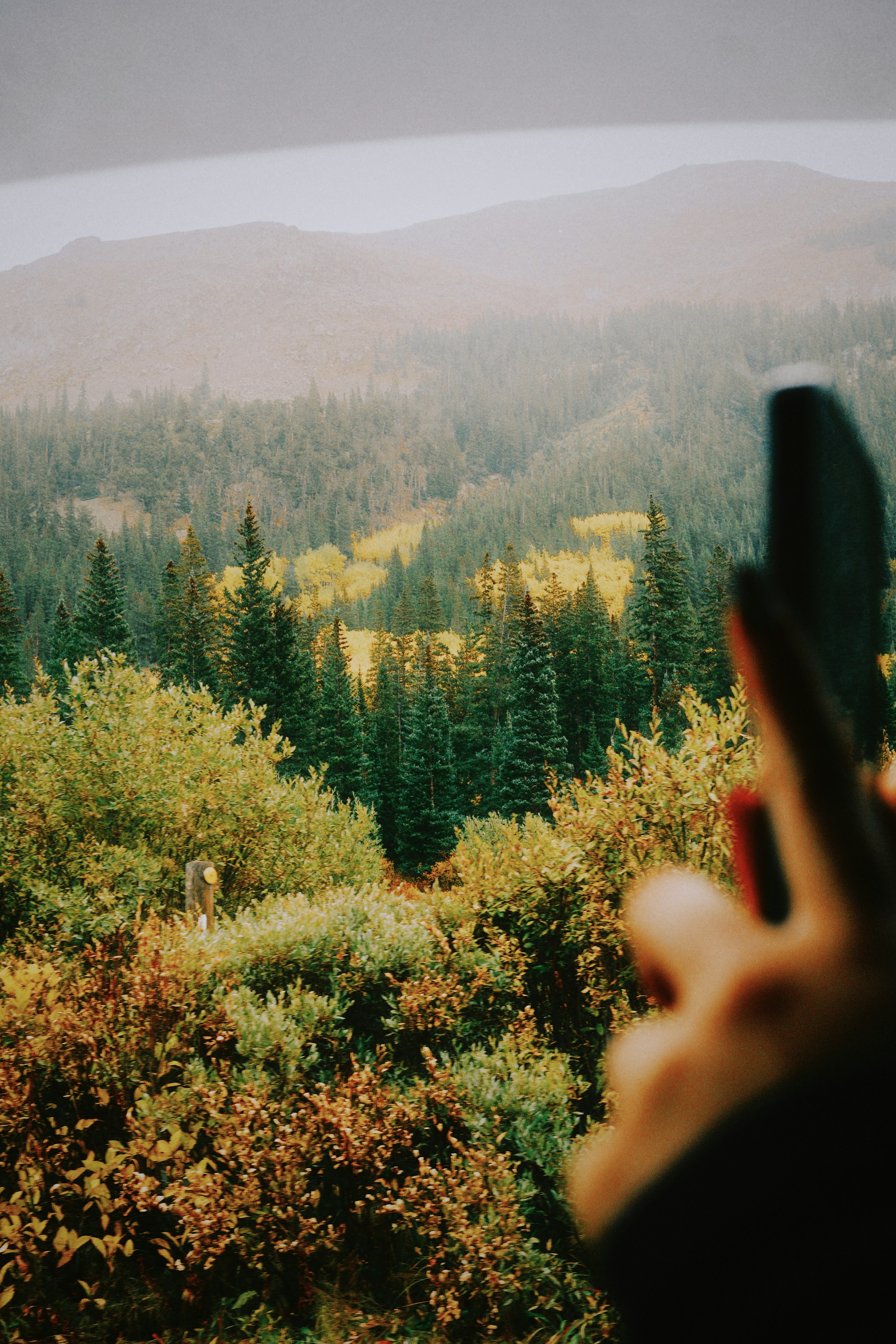 🌿 Top 15 Eco-Friendly Travel Destinations for Sustainable Trips (2026 ...