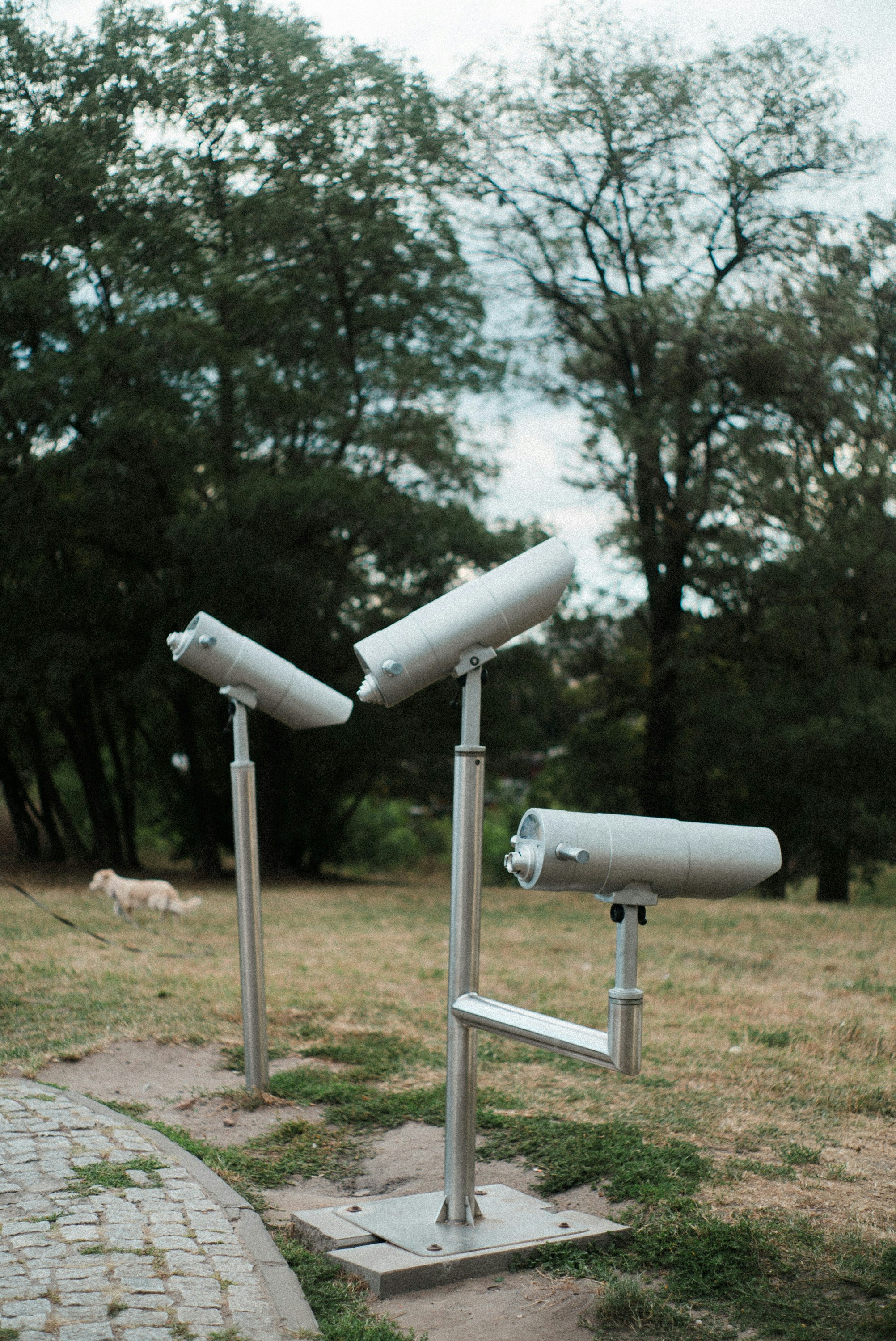 Three metallic observation scopes stand on a grassy area, inviting exploration of the surrounding landscape. A golden retriever can be seen in the background.