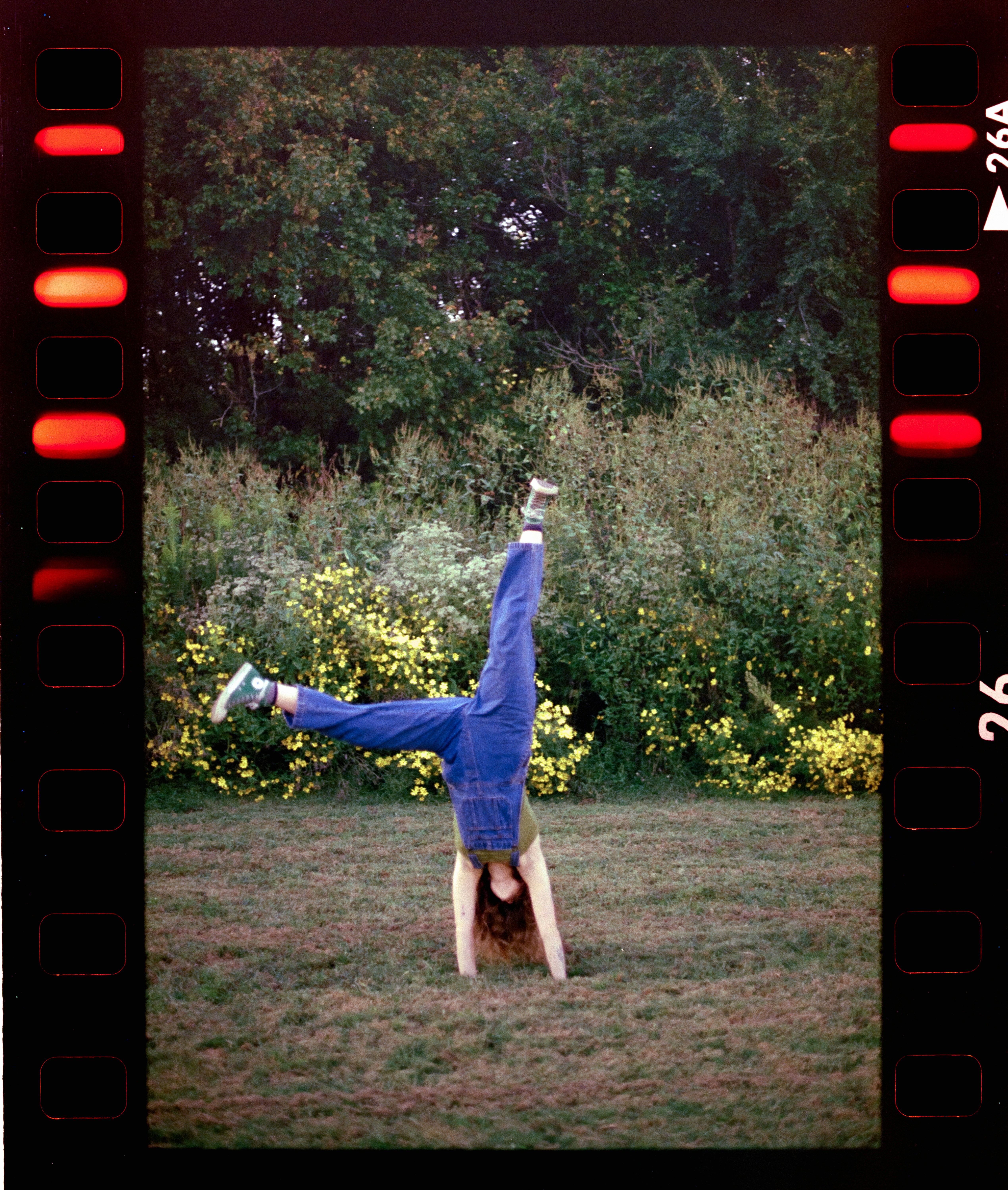 Joyful Acrobatics in Nature's Embrace